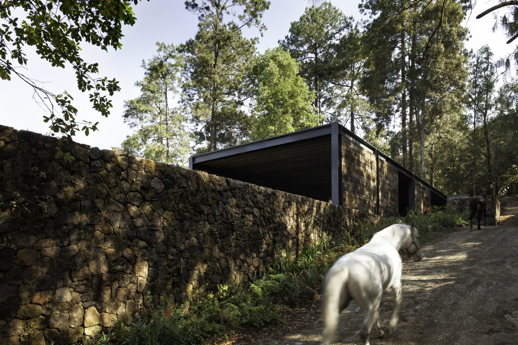 Gallery of El Mirador House / Manuel Cervantes Estudio - 18