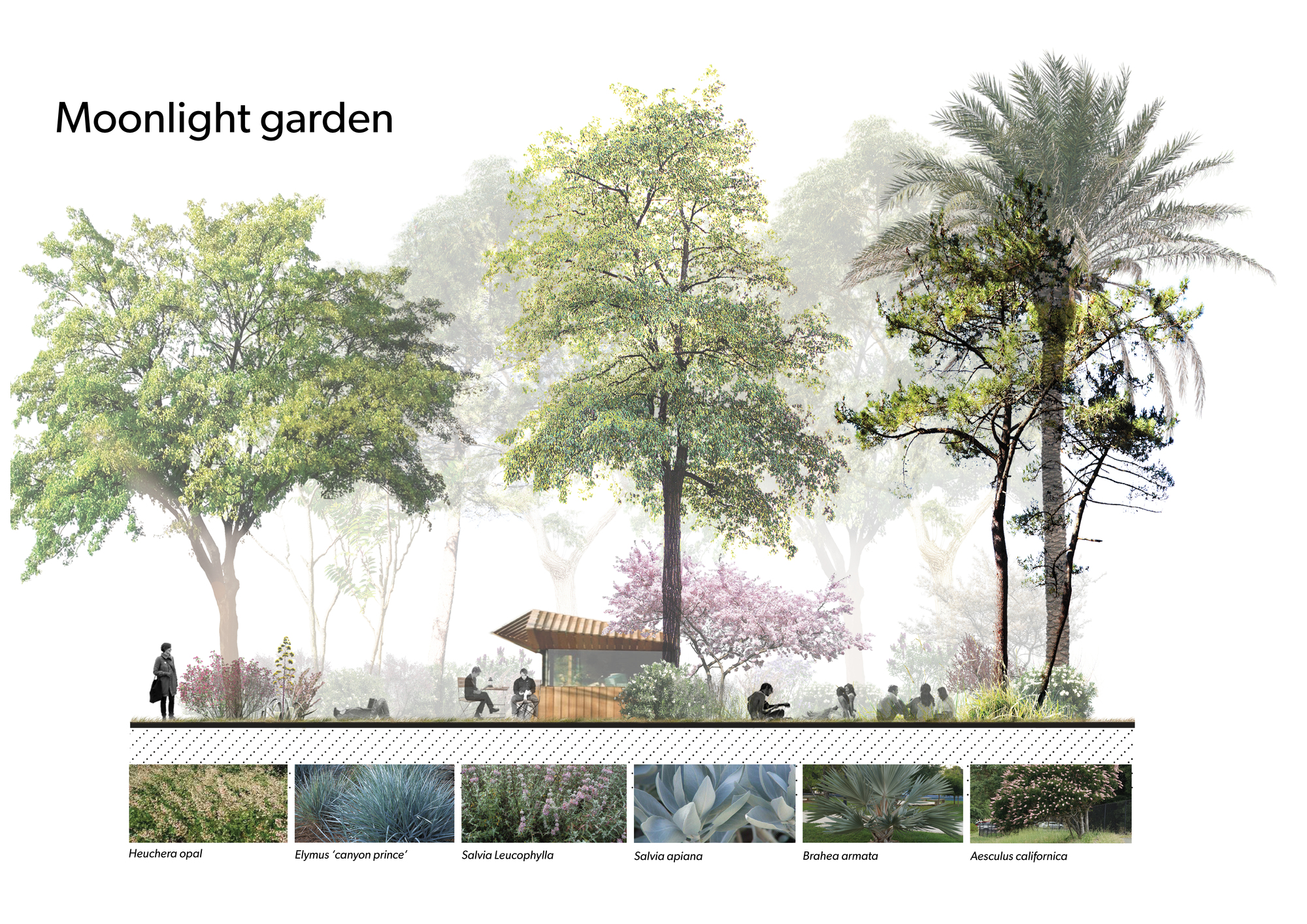 Gallery of Agence Ter Selected to Redesign LA's Pershing Square with ...