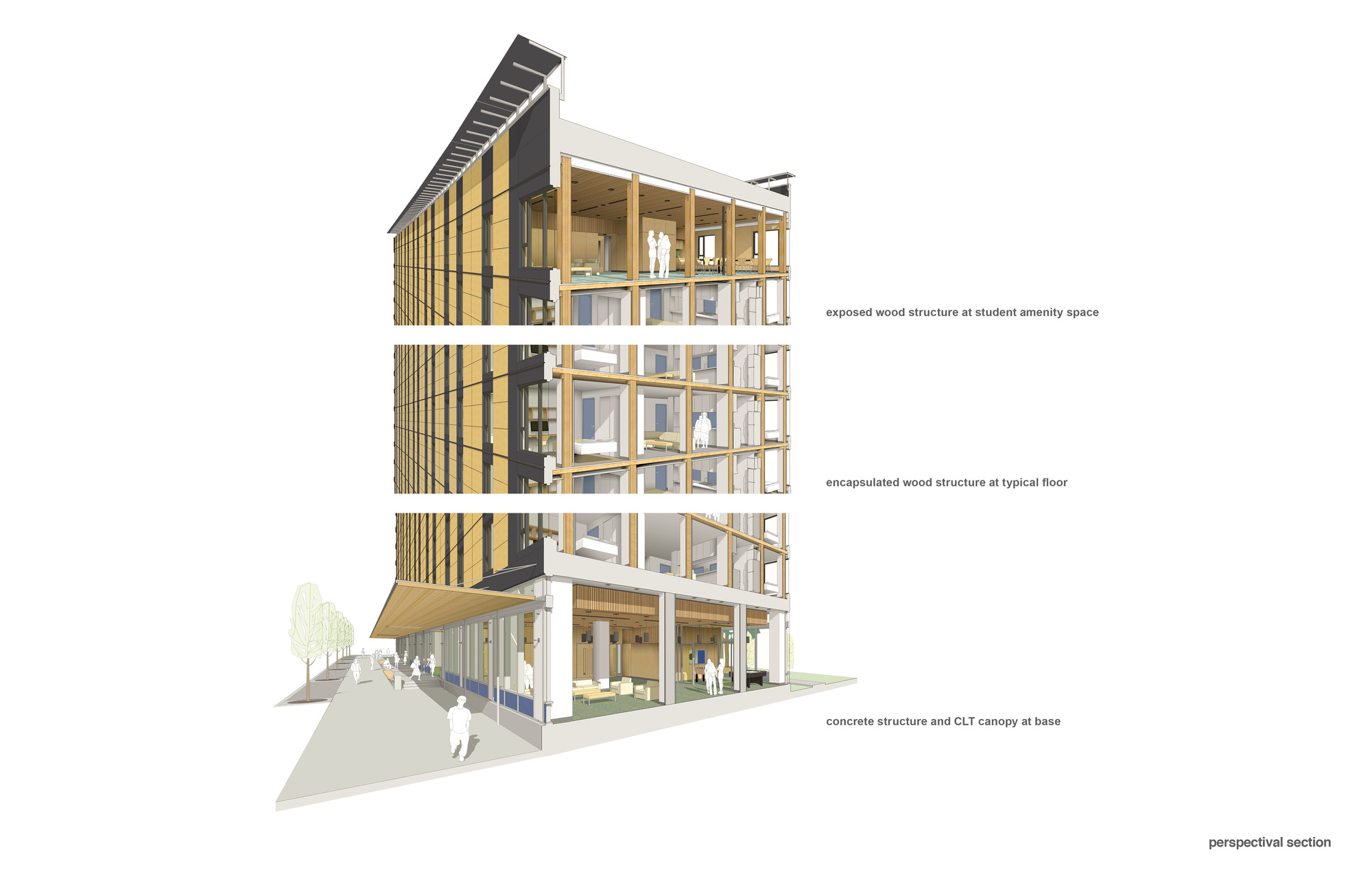 Gallery of Construction of the World's Tallest Timber Tower is Underway ...
