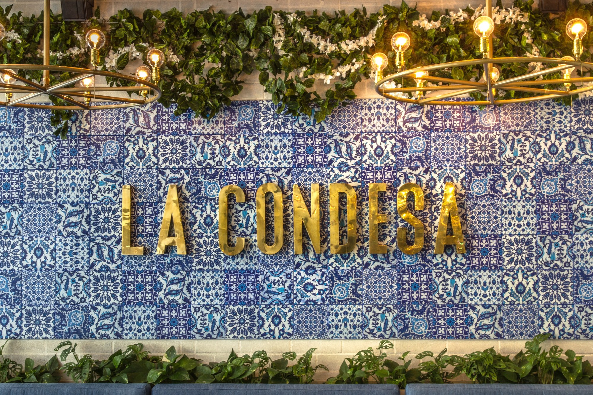 Gallery of La Condesa / PLASMA NODO - 2