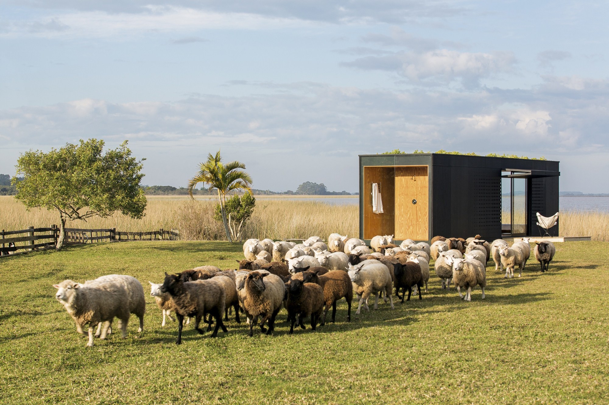 Gallery of Minimod / MAPA - 12