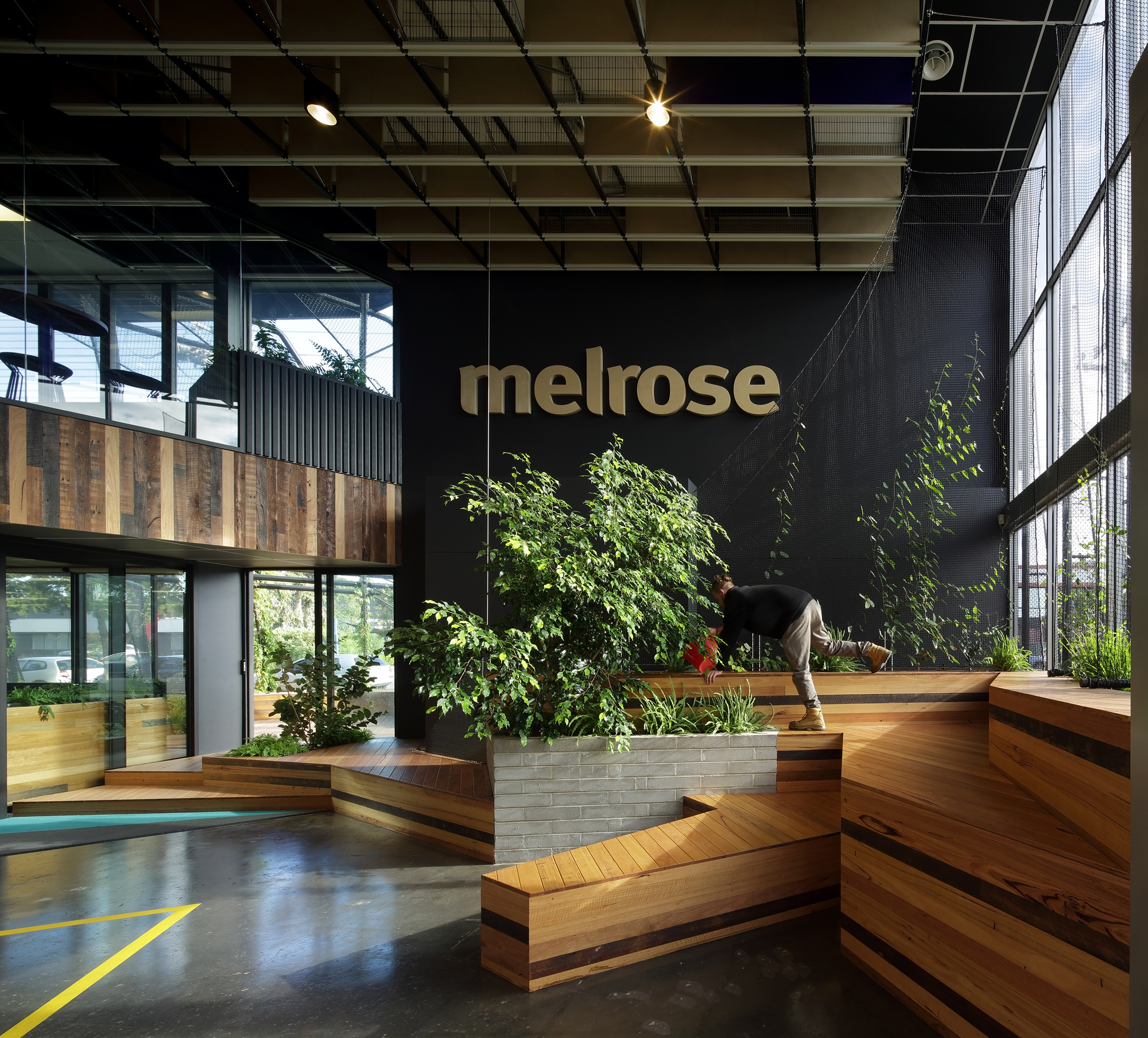 Melrose Health / Bent Architecture | ArchDaily