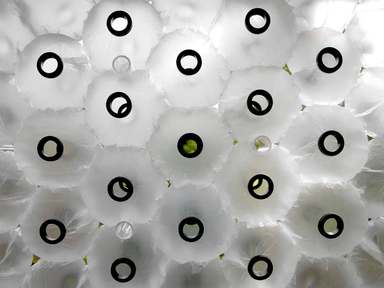 Gallery of Let Your Building "Breathe" With This Pneumatic Façade ...