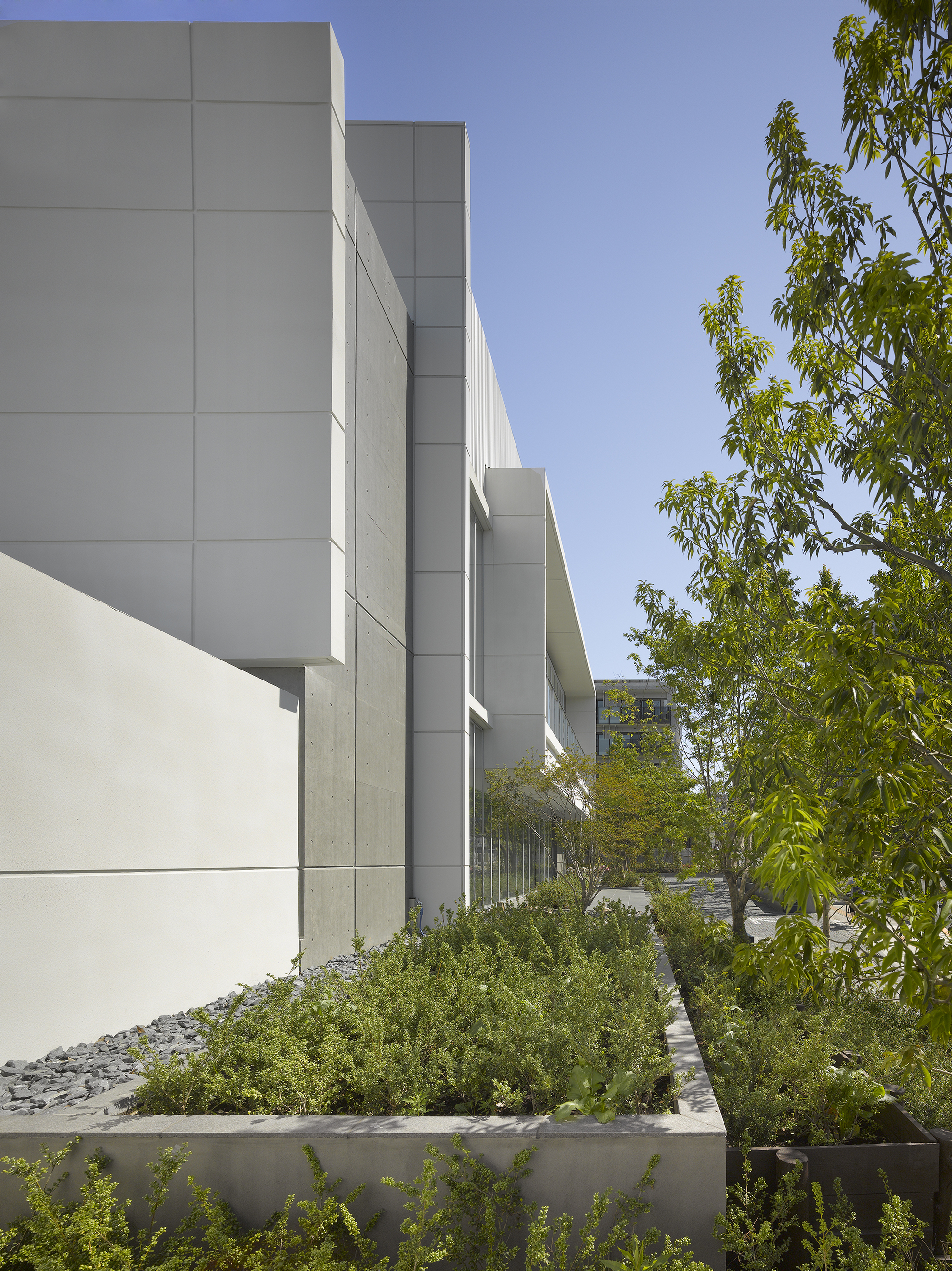 Gallery of Aqua Sports & SPA / COE Architecture International - 10