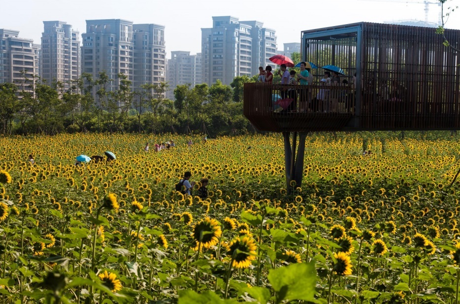 Gallery of Shortlist Revealed for World Architecture Festival Awards ...