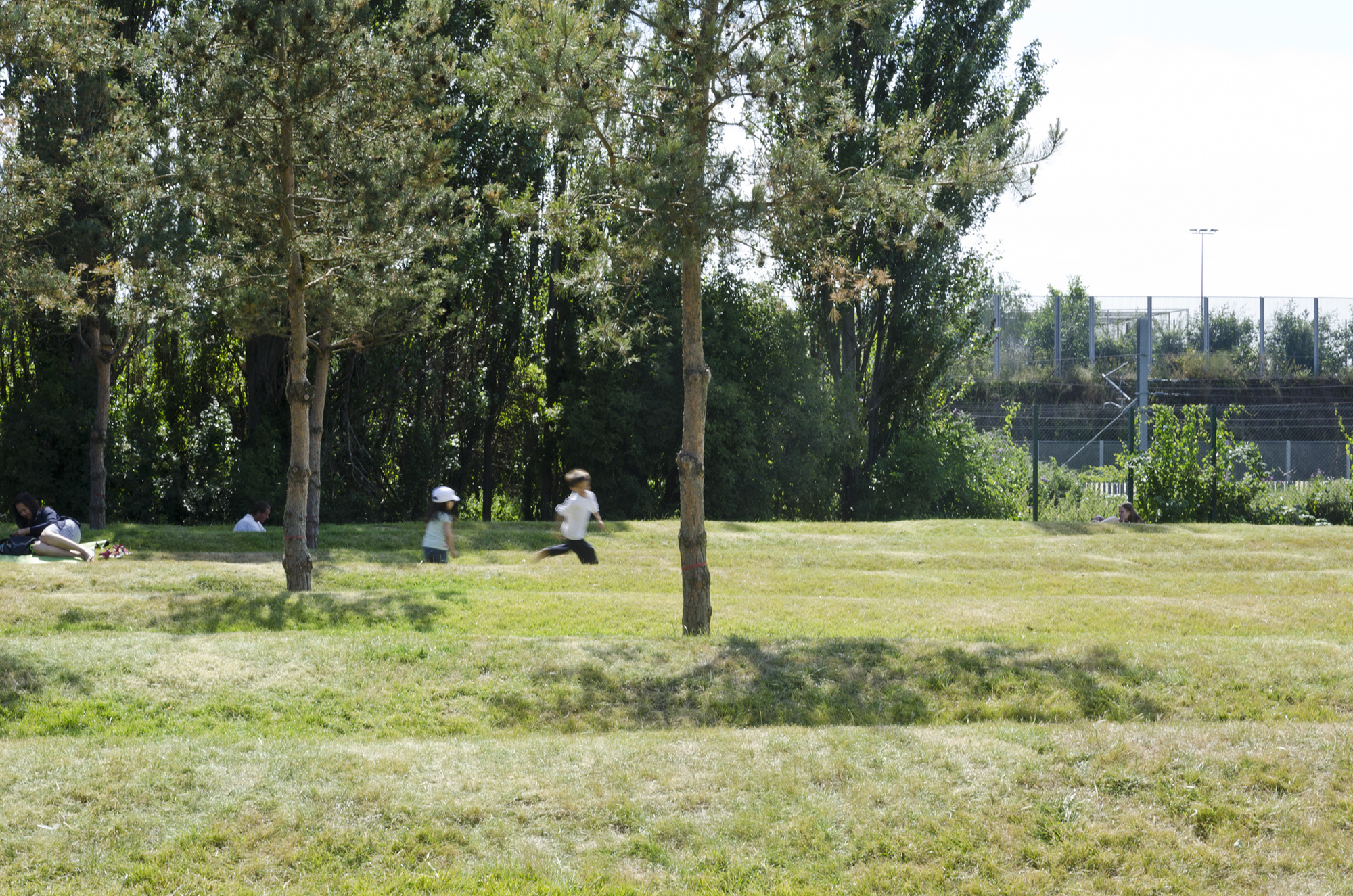 Gallery of Drapers Field / Kinnear Landscape Architects - 7