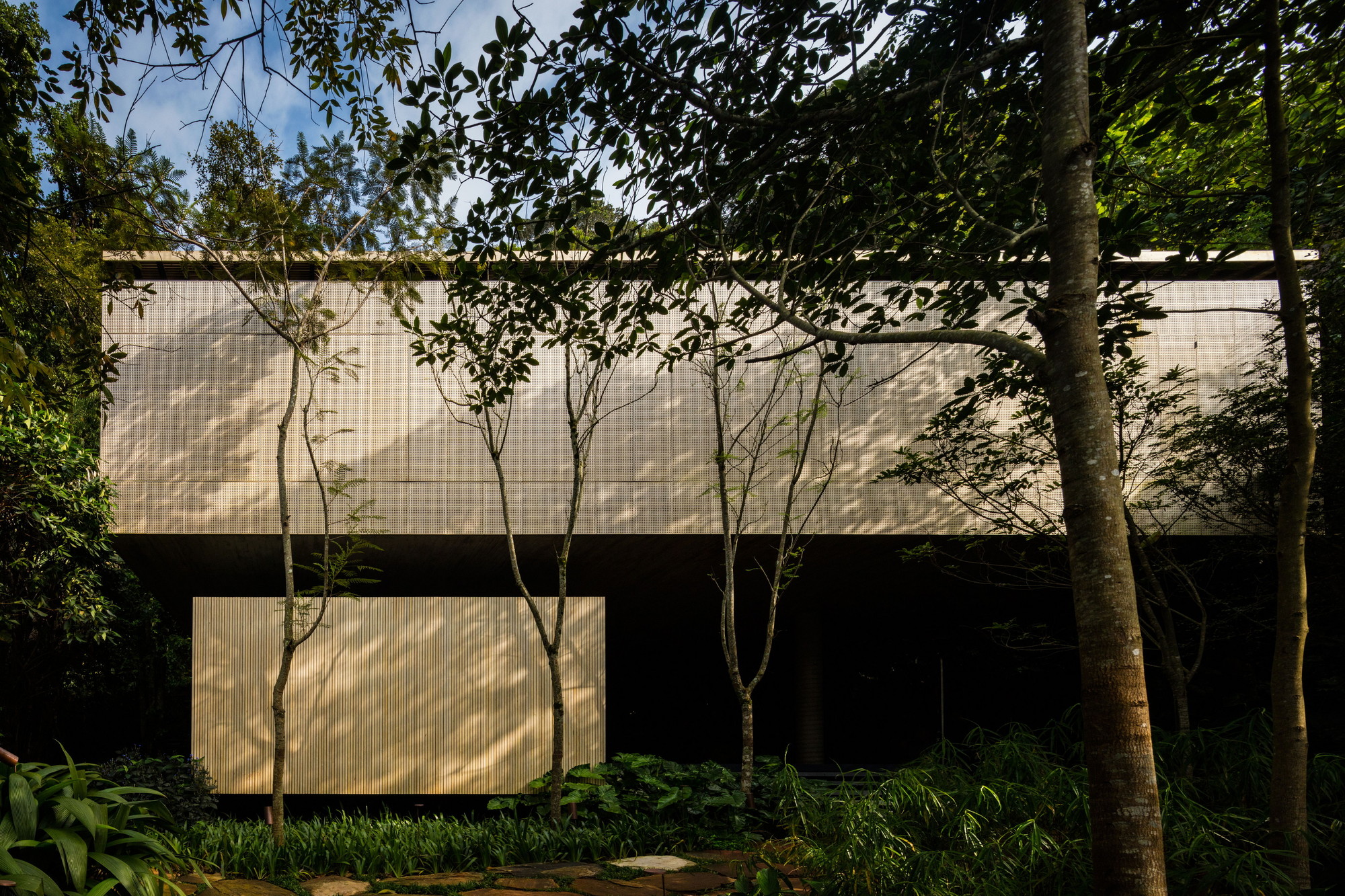 Galeria de Casa na Mata / studio mk27 - 14