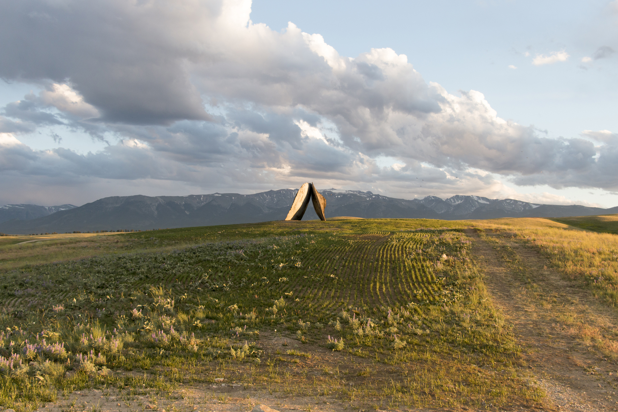 Galería de Estructuras del Paisaje / ENSAMBLE STUDIO - 21