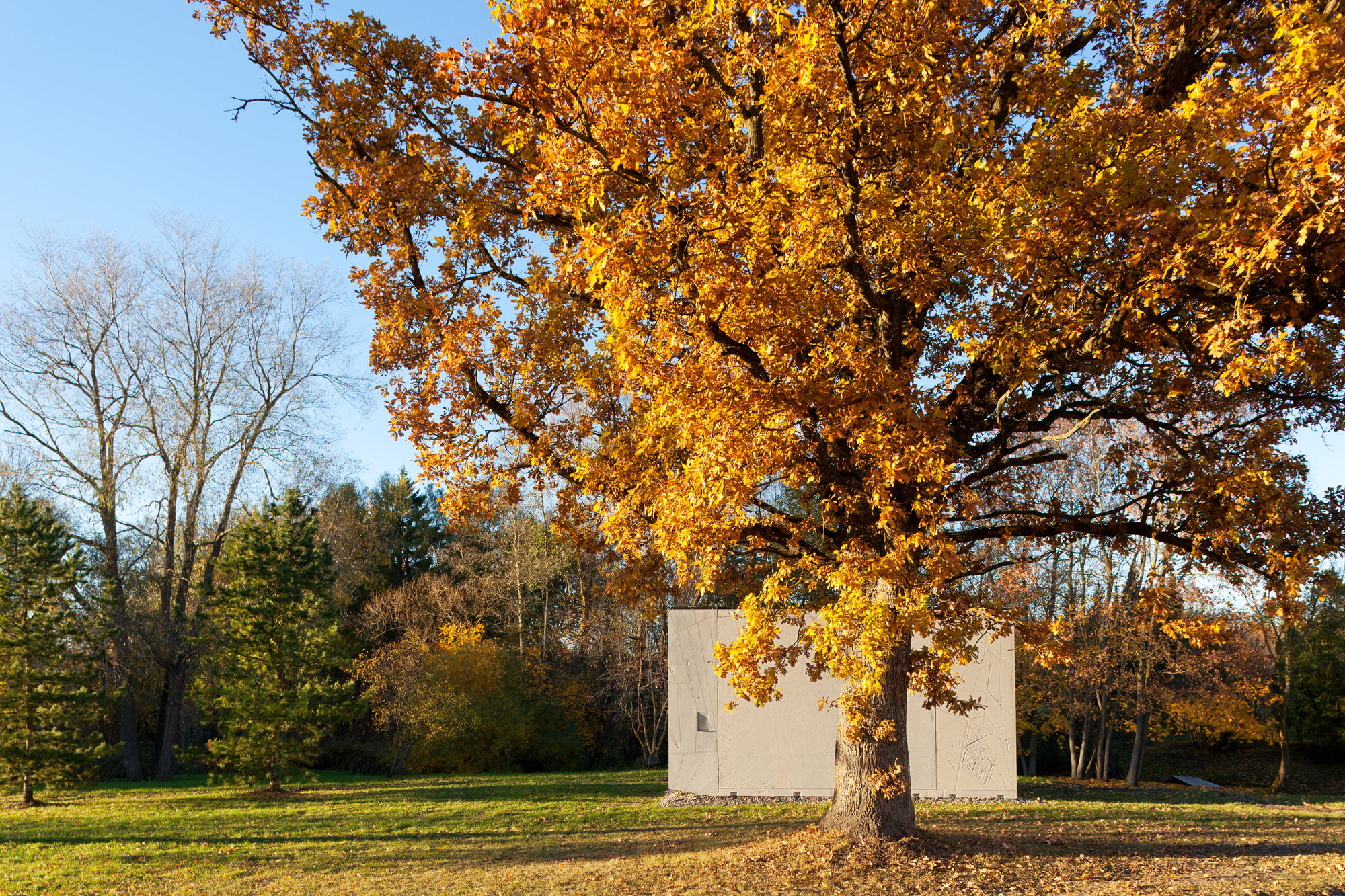 Galeria de KODA / Kodasema - 4