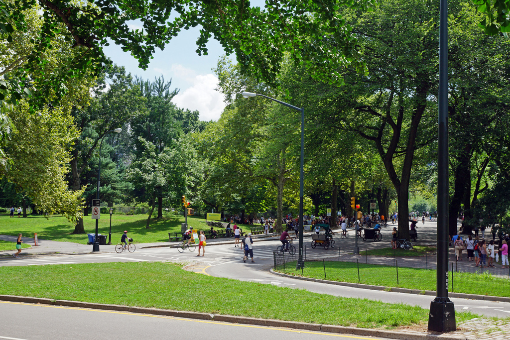 ¿Qué es la Escala Humana? 3 definiciones para su promoción en los ...