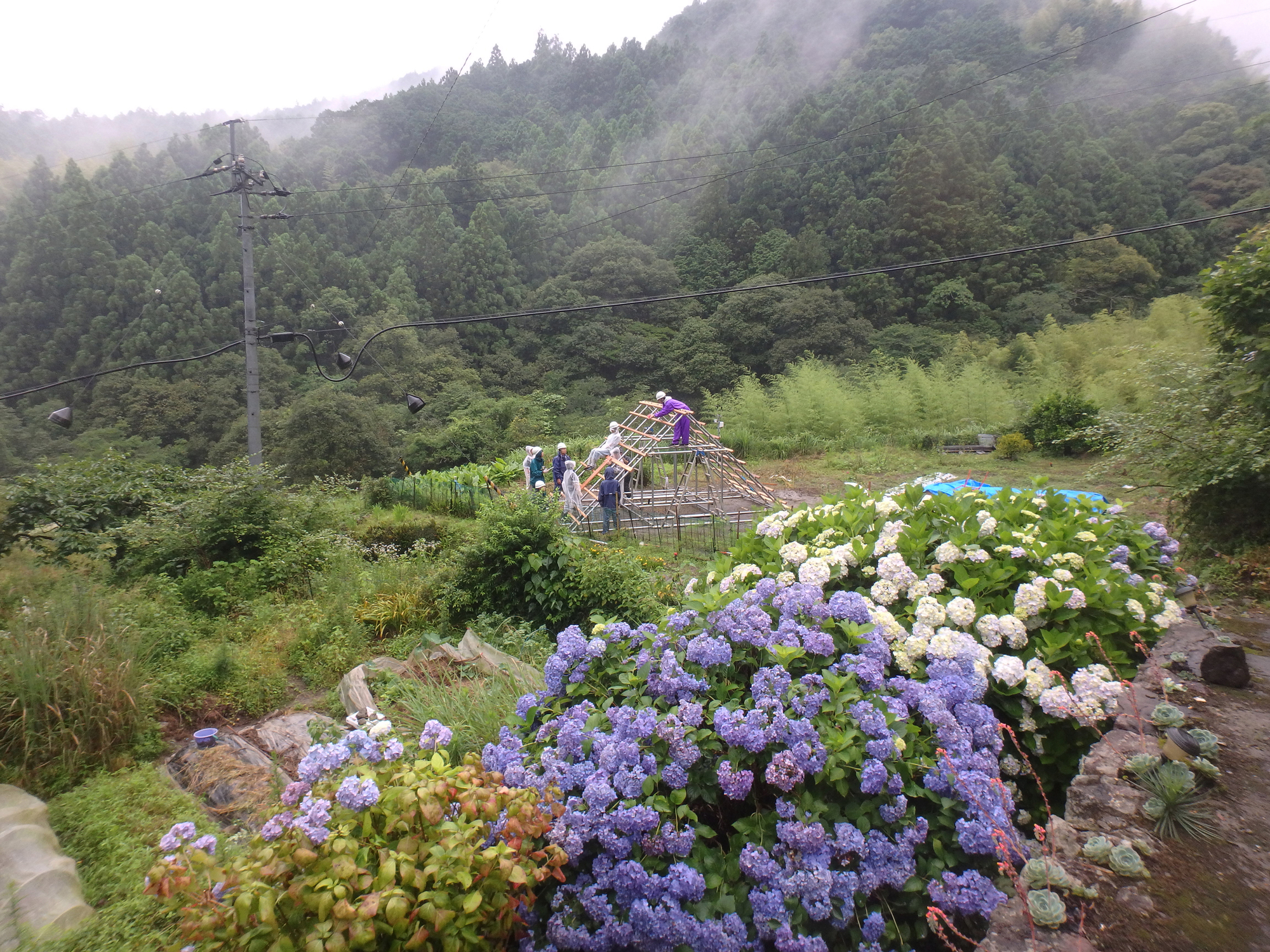 Gallery of Self-build Shinto Shrine / Kikuma Watanabe - 7