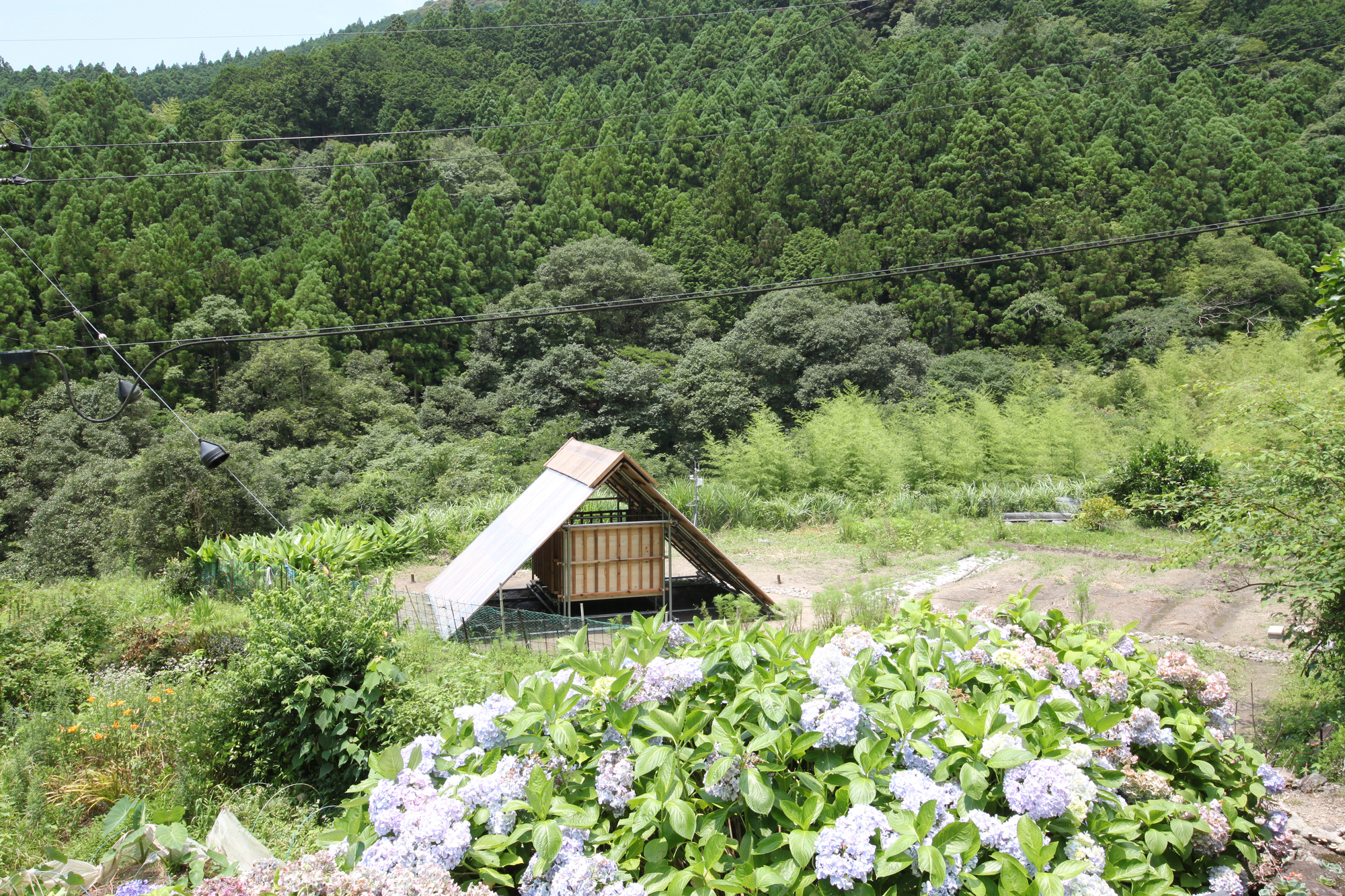 Galería de Santuario Sintoísta Autoconstruído / Kikuma Watanabe - 6