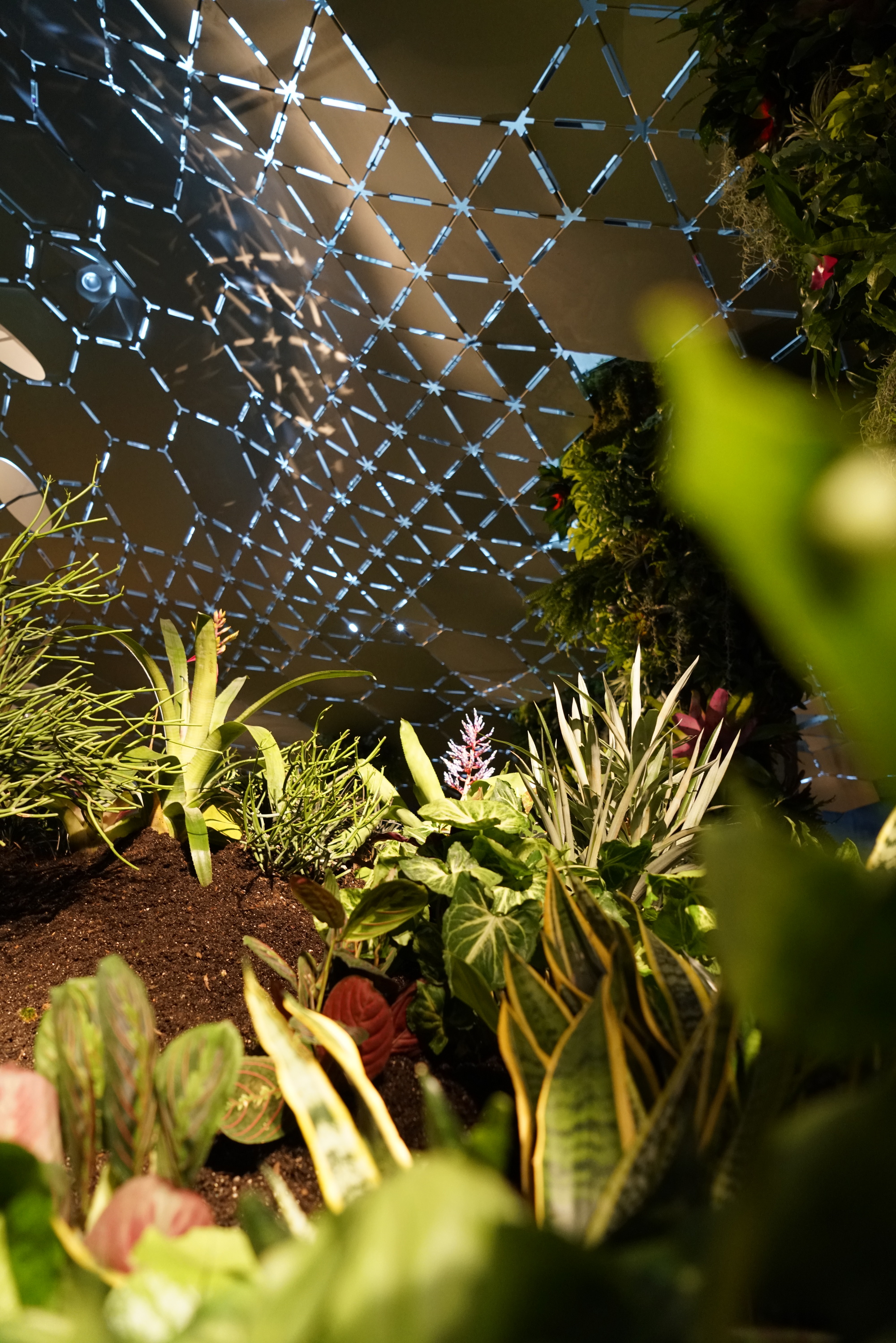 Gallery of NYC Lowline Receives First Official City Approval - 11