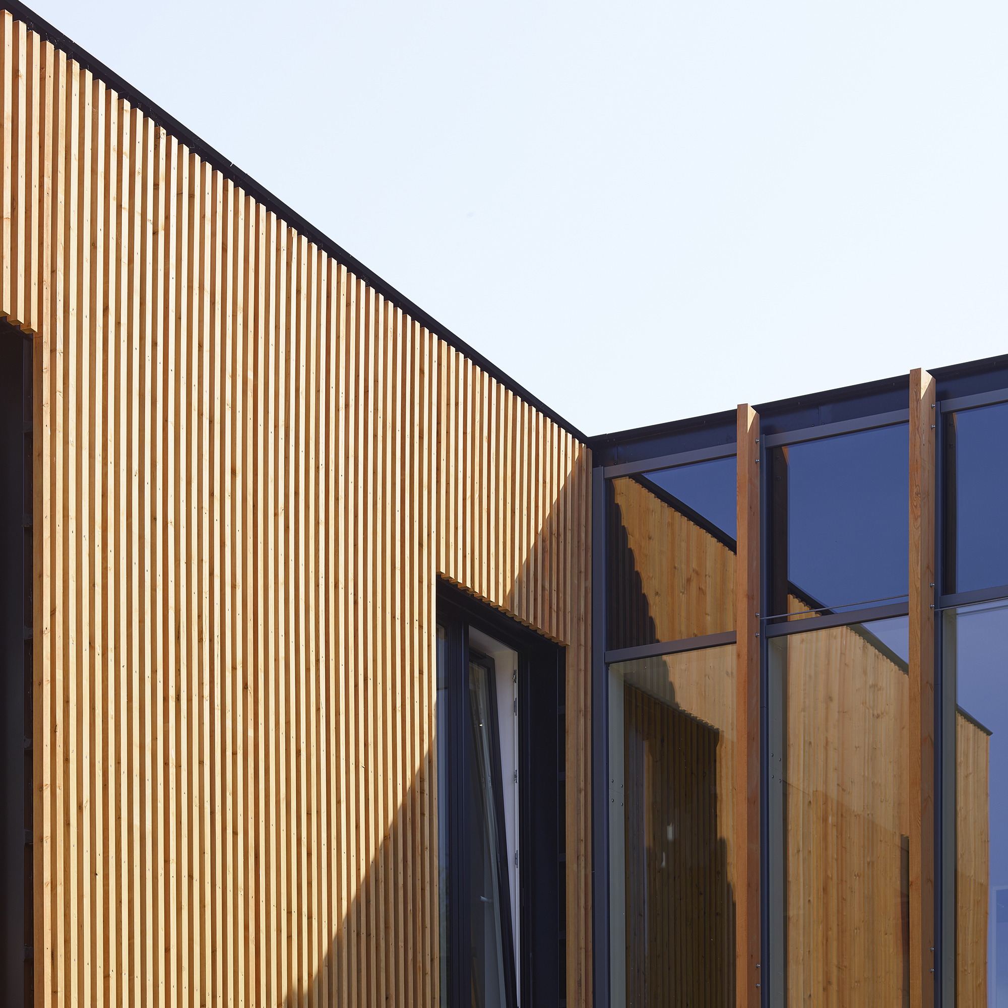 Gallery of Thistle / 3DReid - 18