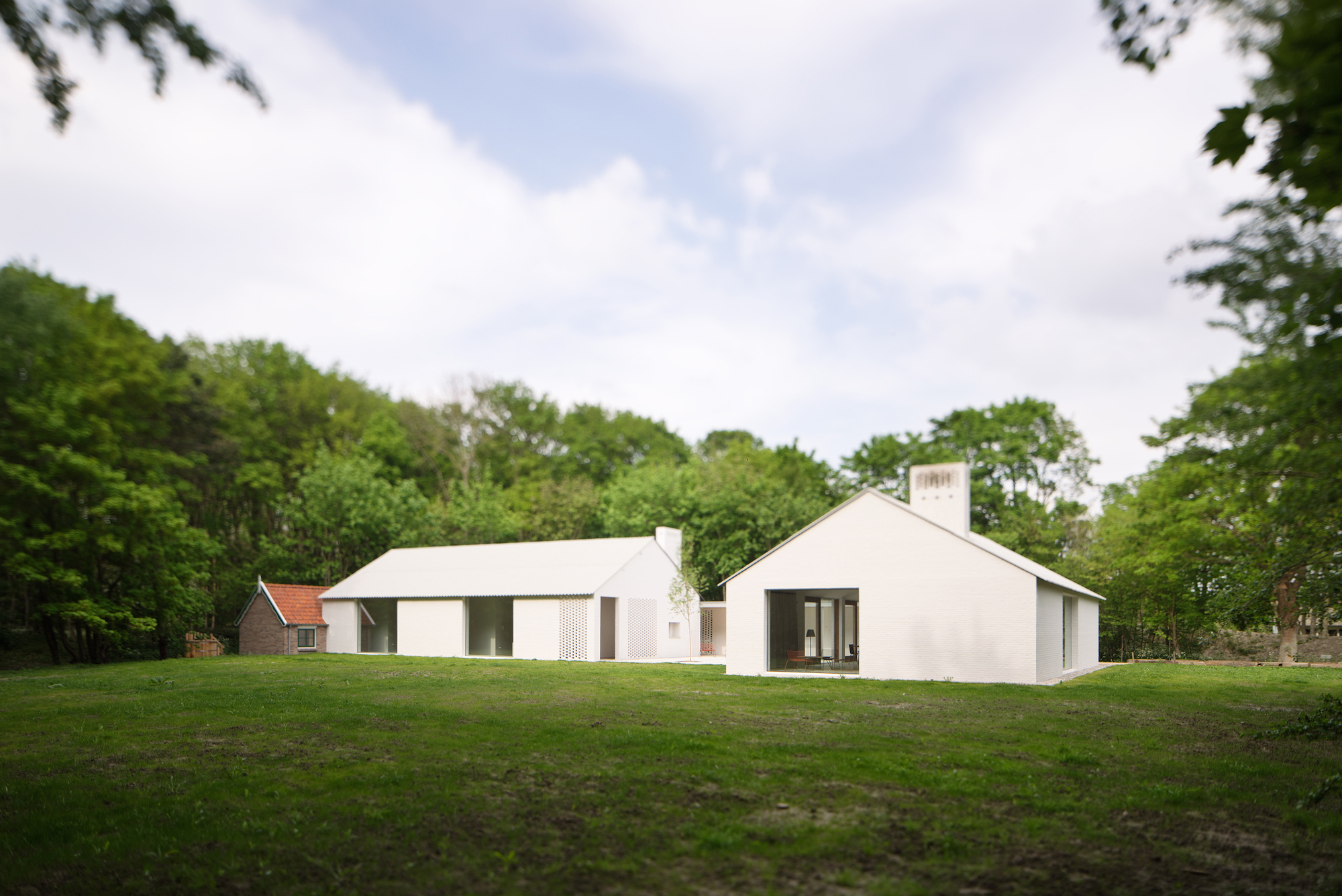 Gallery of House in the Woods / Studio Nauta - 4