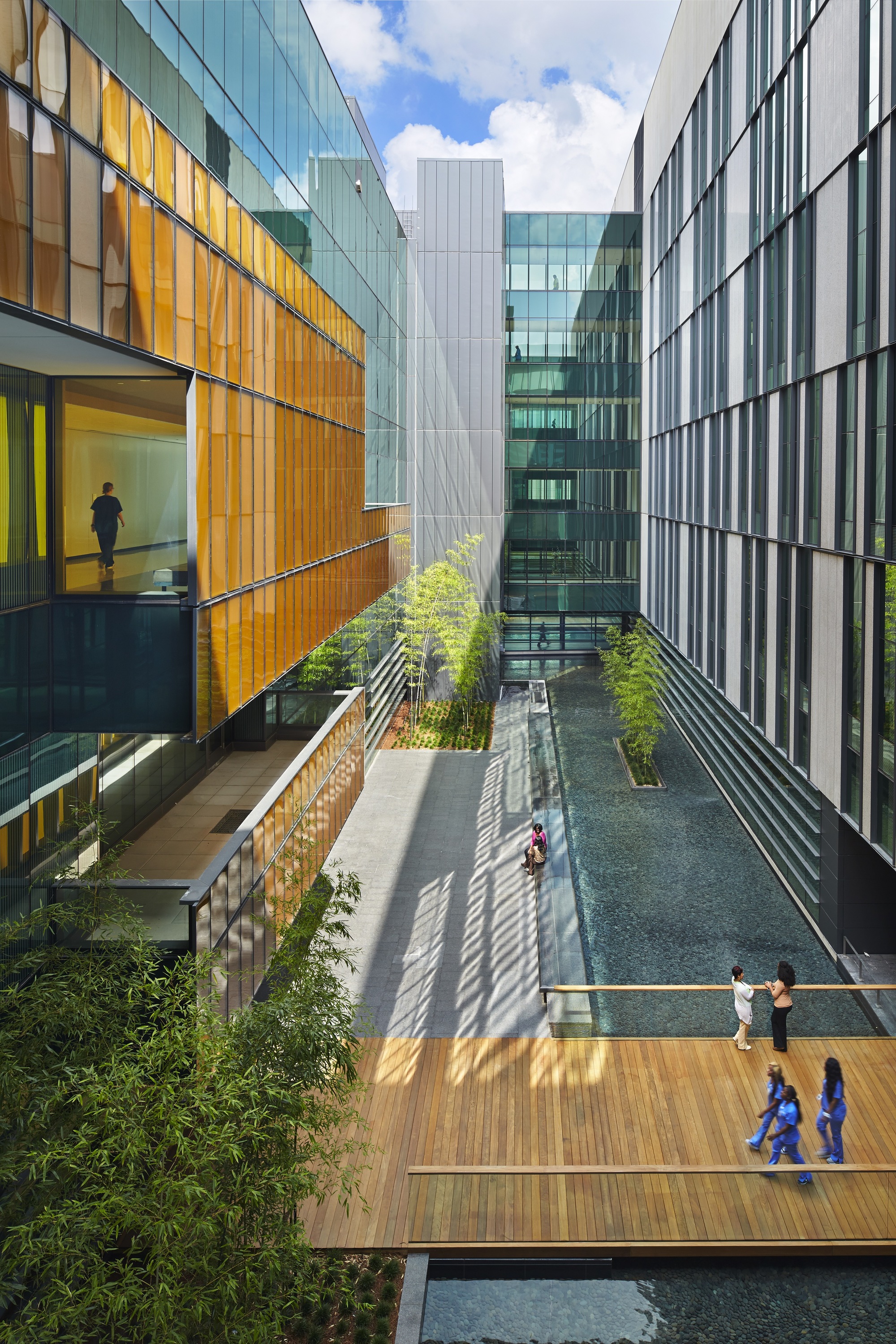 Gallery of 7 Projects Announced as Winners of AIA National Healthcare ...