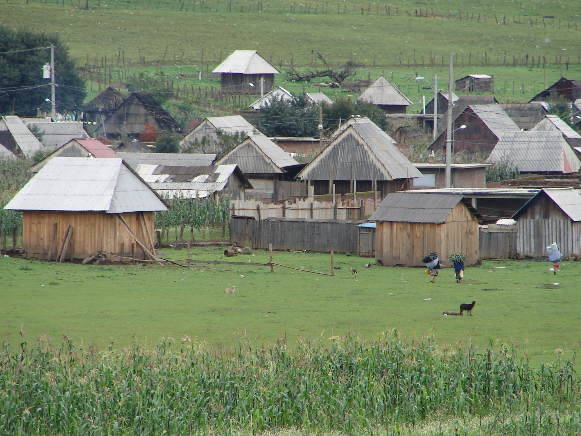Galería de Reconocen medio siglo dedicado a la arquitectura vernácula ...