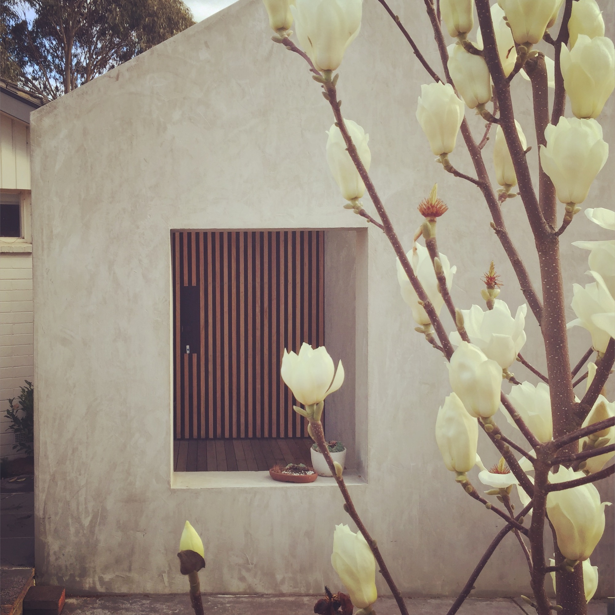 Gallery Of Doncaster House Inbetween Architecture 9