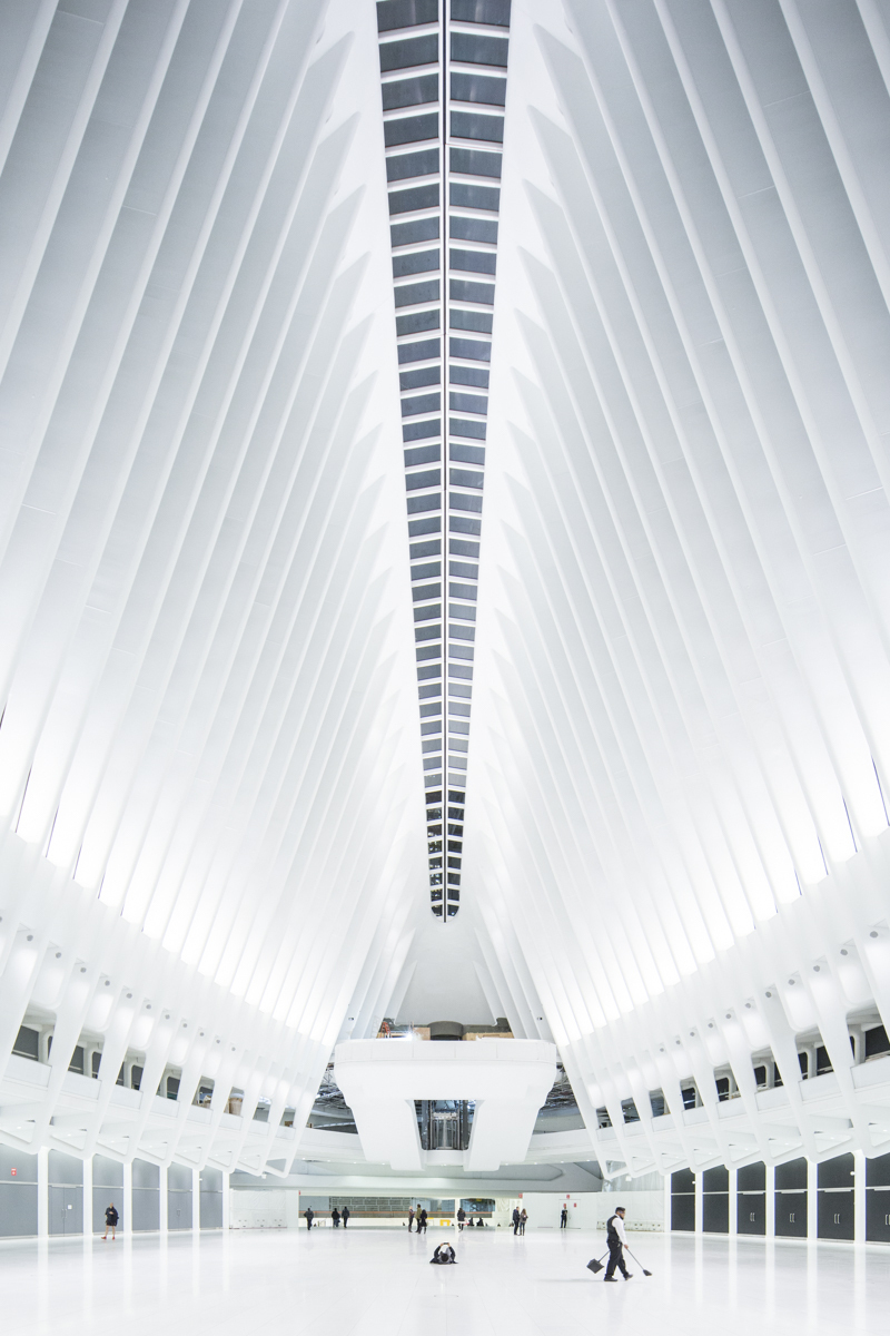 Gallery of Spotlight: Santiago Calatrava - 14