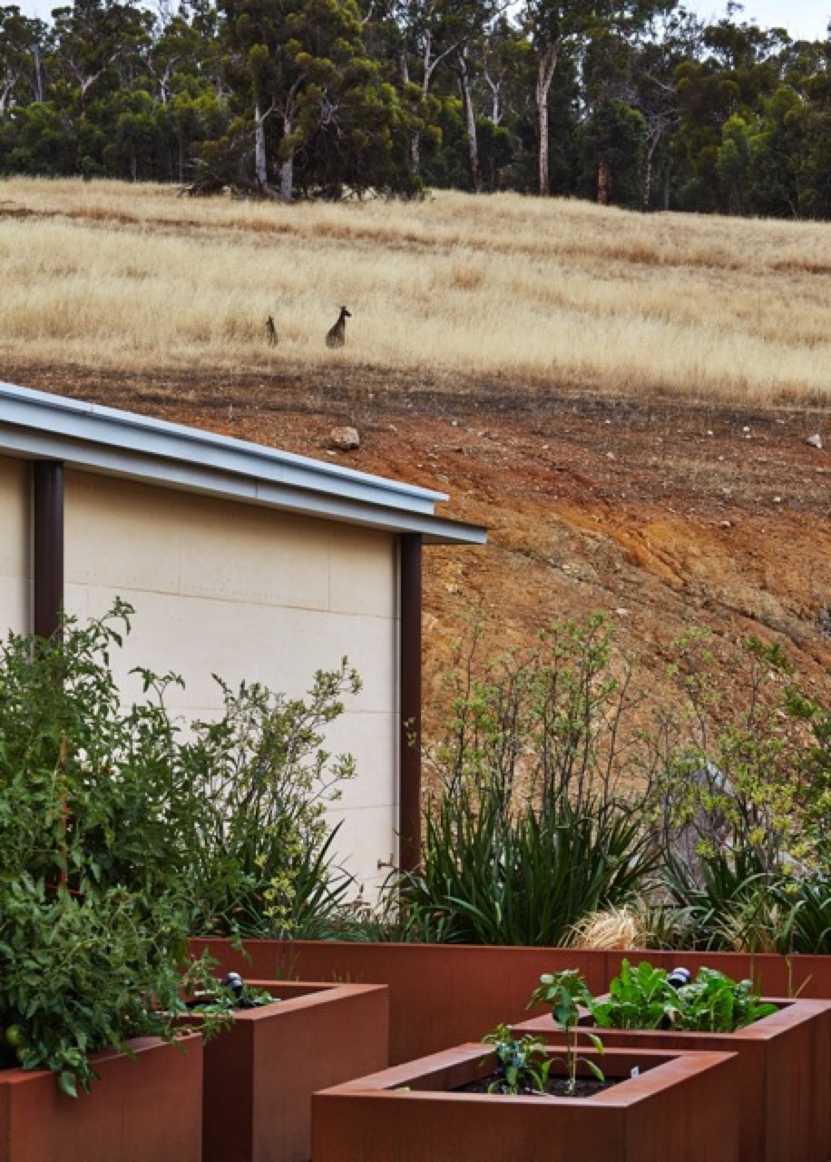 Gallery of Julimar Falls House / Studio Nicholas Burns - 13