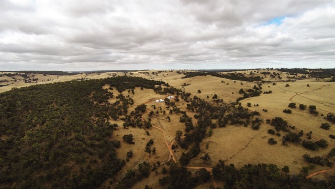 Gallery of Julimar Falls House / Studio Nicholas Burns - 12