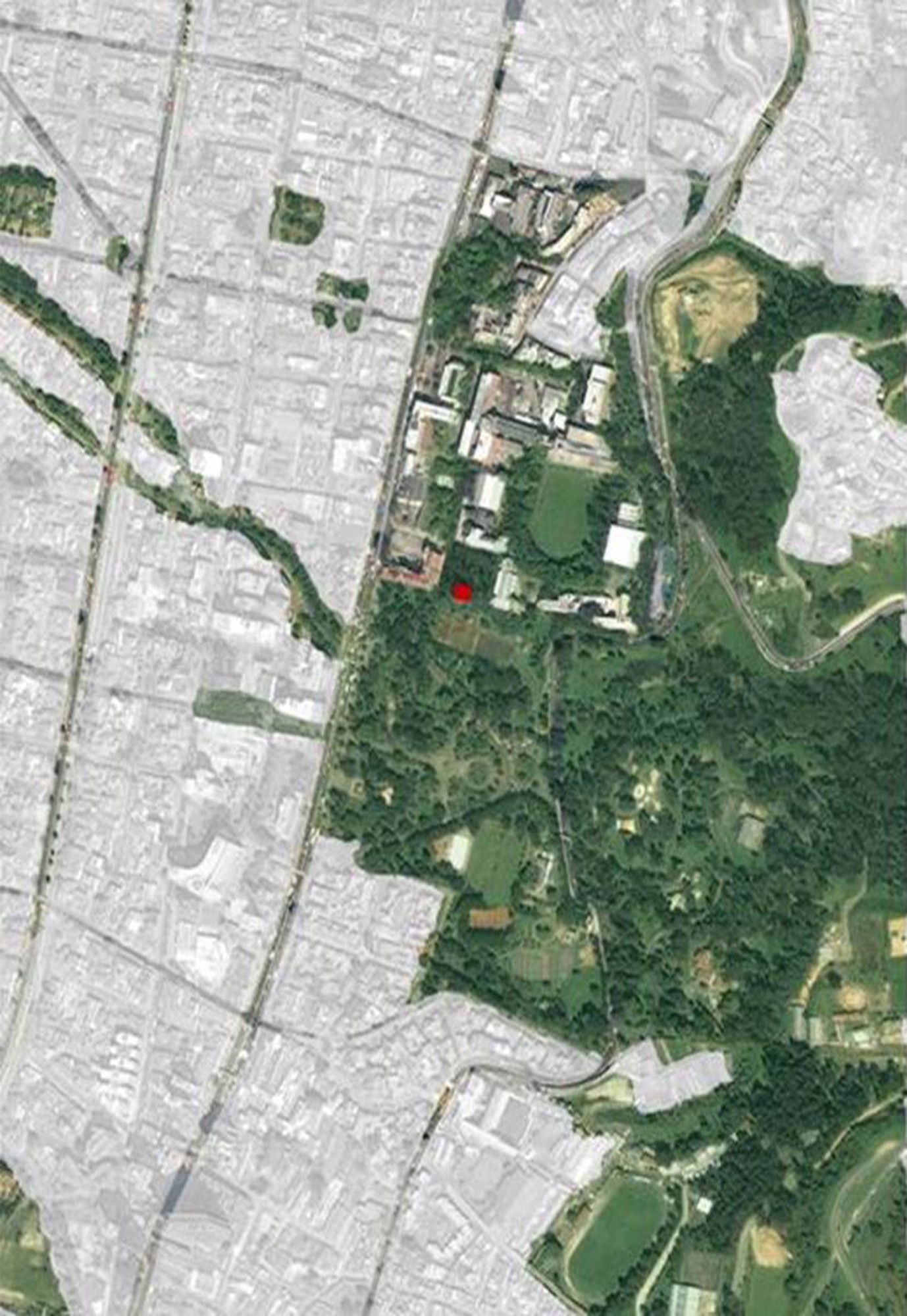 Galería de Facultad de Artes Pontificia Universidad Javeriana / La ...