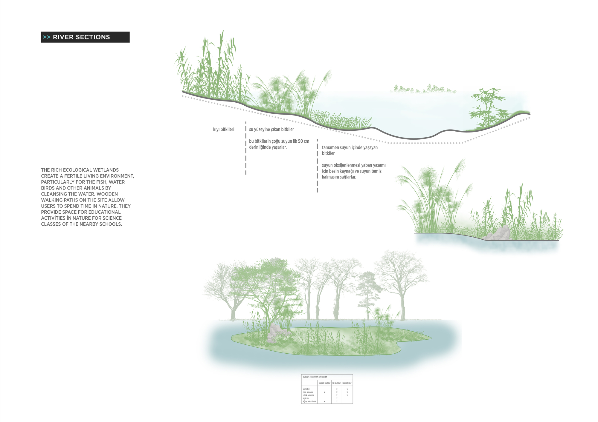 Gallery of ONZ Architects and MDESIGN Design Ecological Corridor in ...