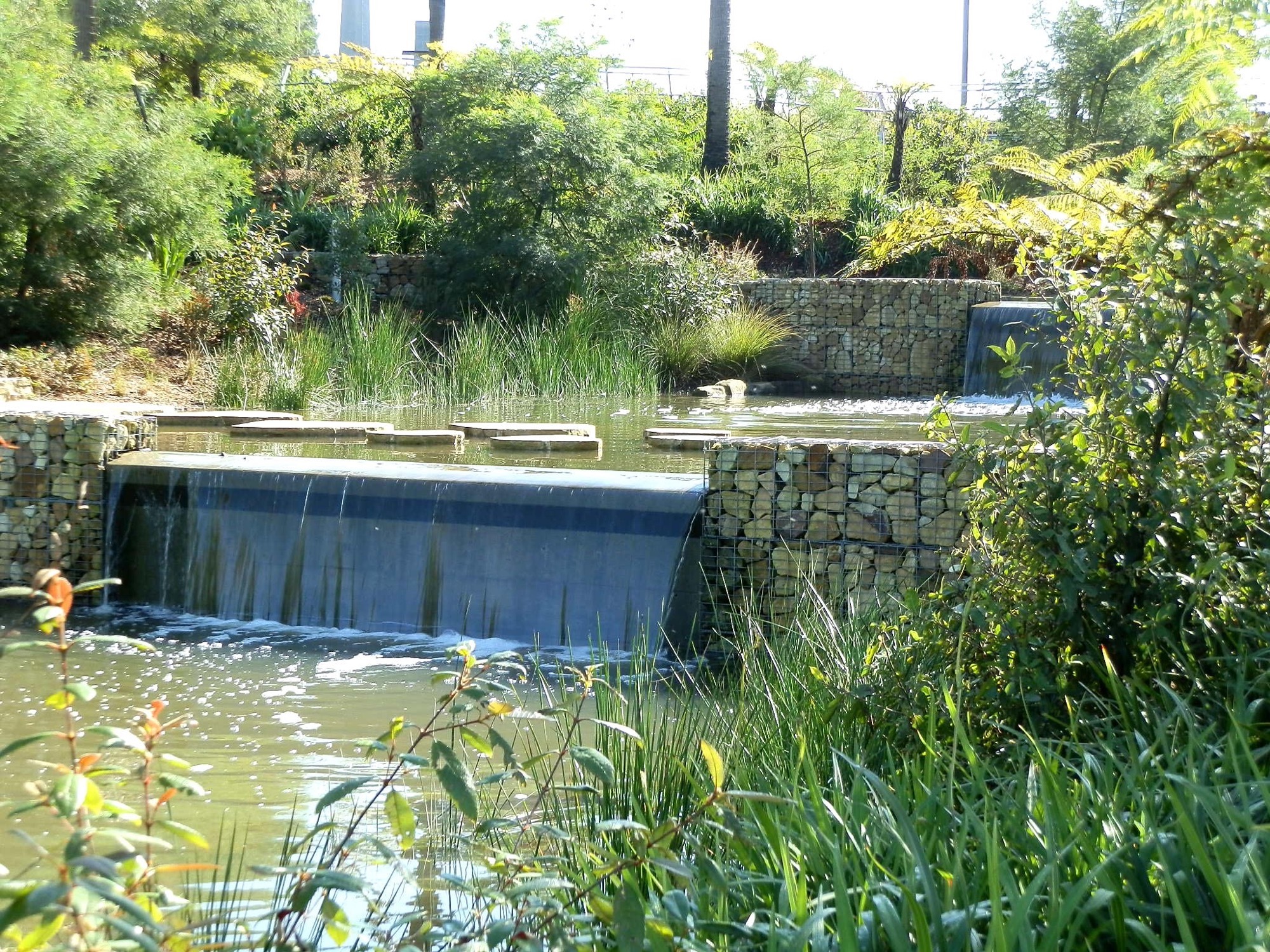 Gallery of Sydney Park Water Re-Use Project / Turf Design Studio ...