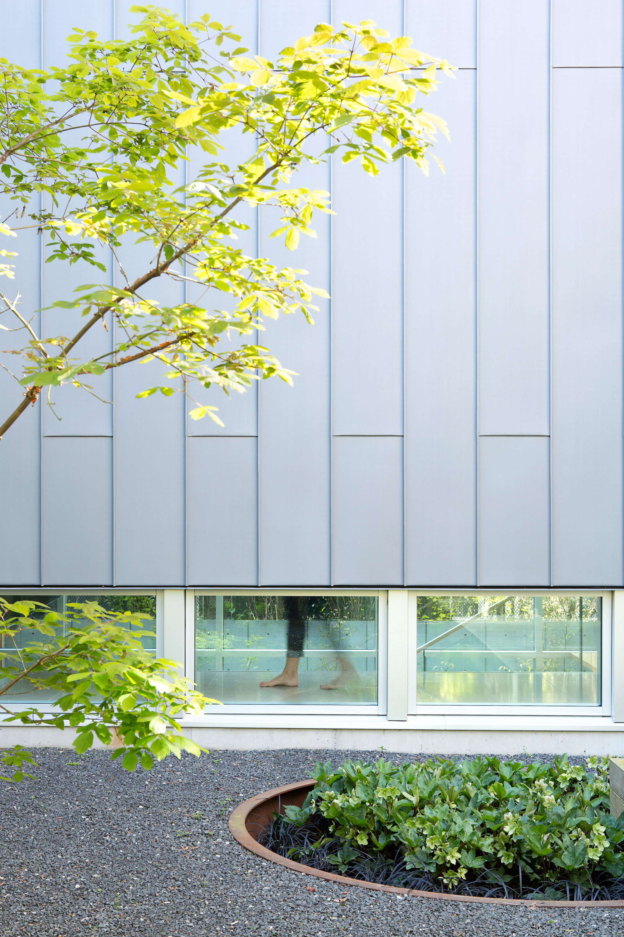 Gallery of Elm Street Residence / James K.M. Cheng Architects - 17