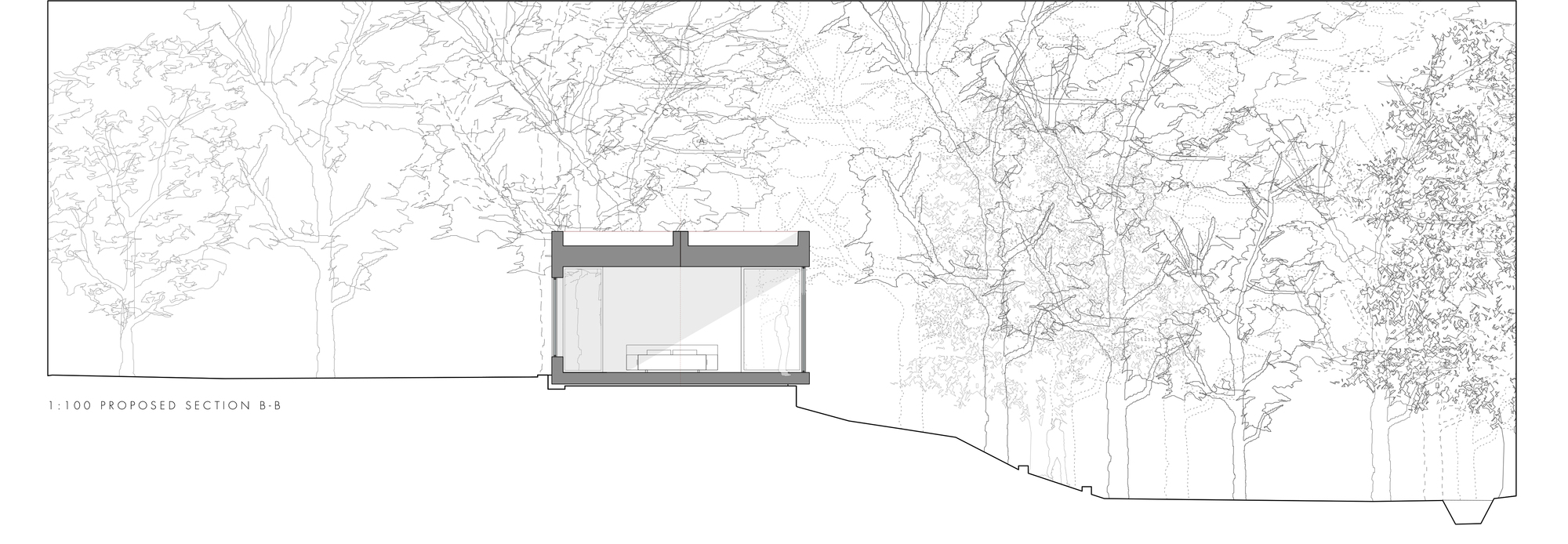 Gallery of Forest Lodge / PAD studio - 24