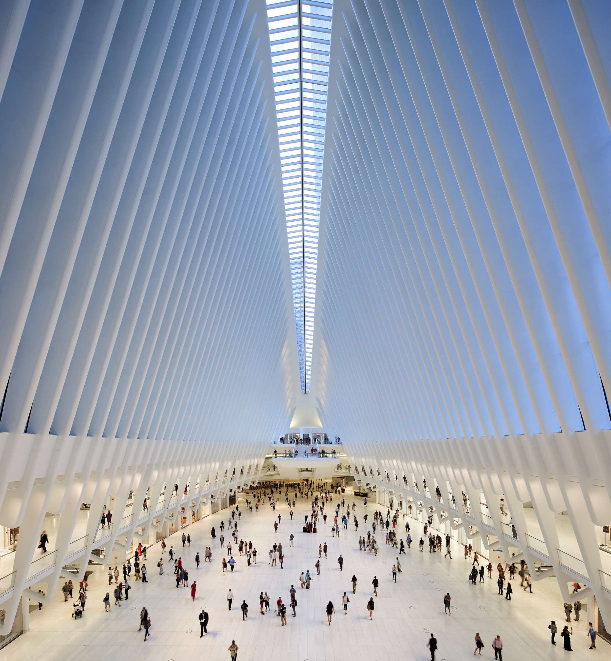 Gallery of Gallery: Calatrava's WTC Transportation Hub Photographed by ...