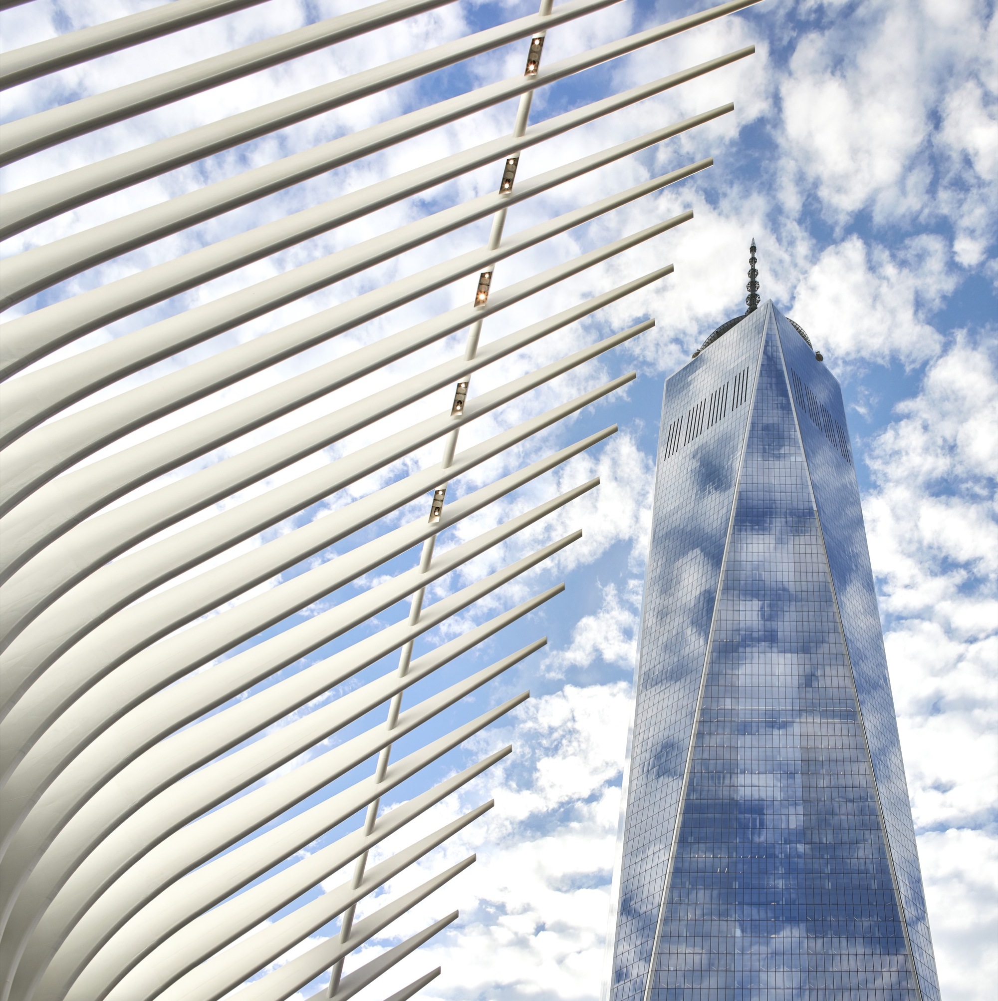 Gallery of Gallery: Calatrava's WTC Transportation Hub Photographed by ...