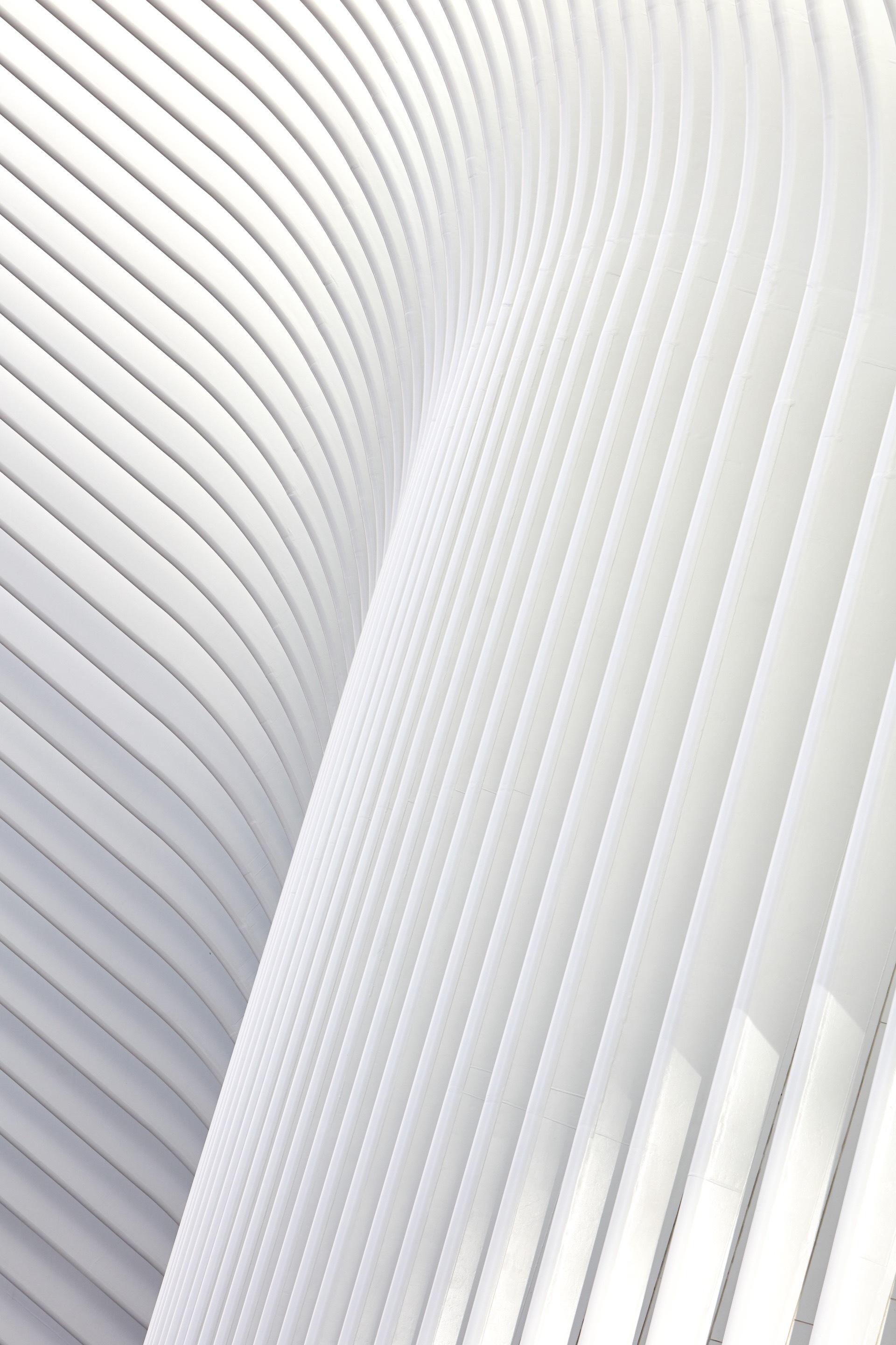 Galeria de World Trade Center Transportation Hub de Calatrava pelas ...
