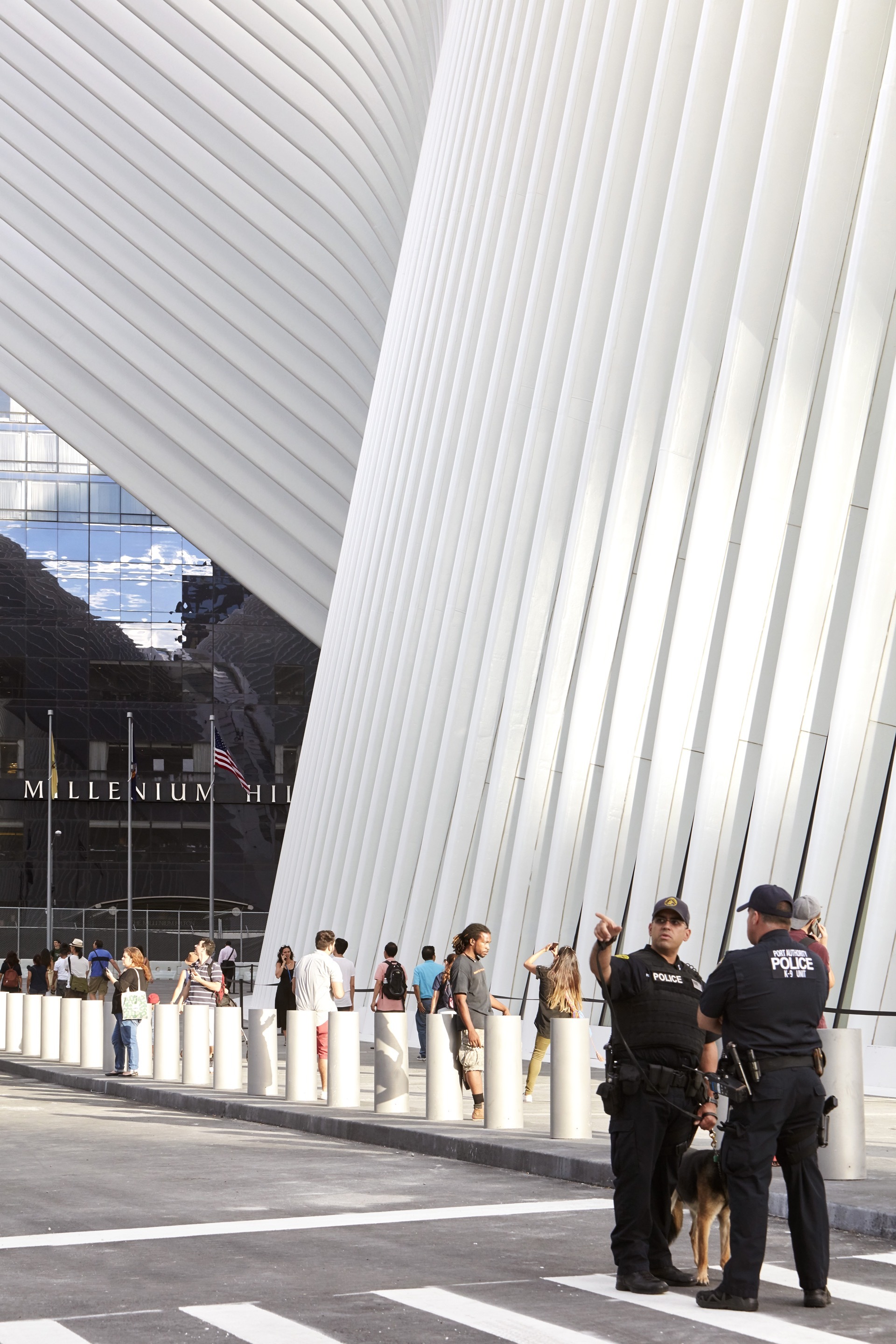 Gallery of Gallery: Calatrava's WTC Transportation Hub Photographed by ...