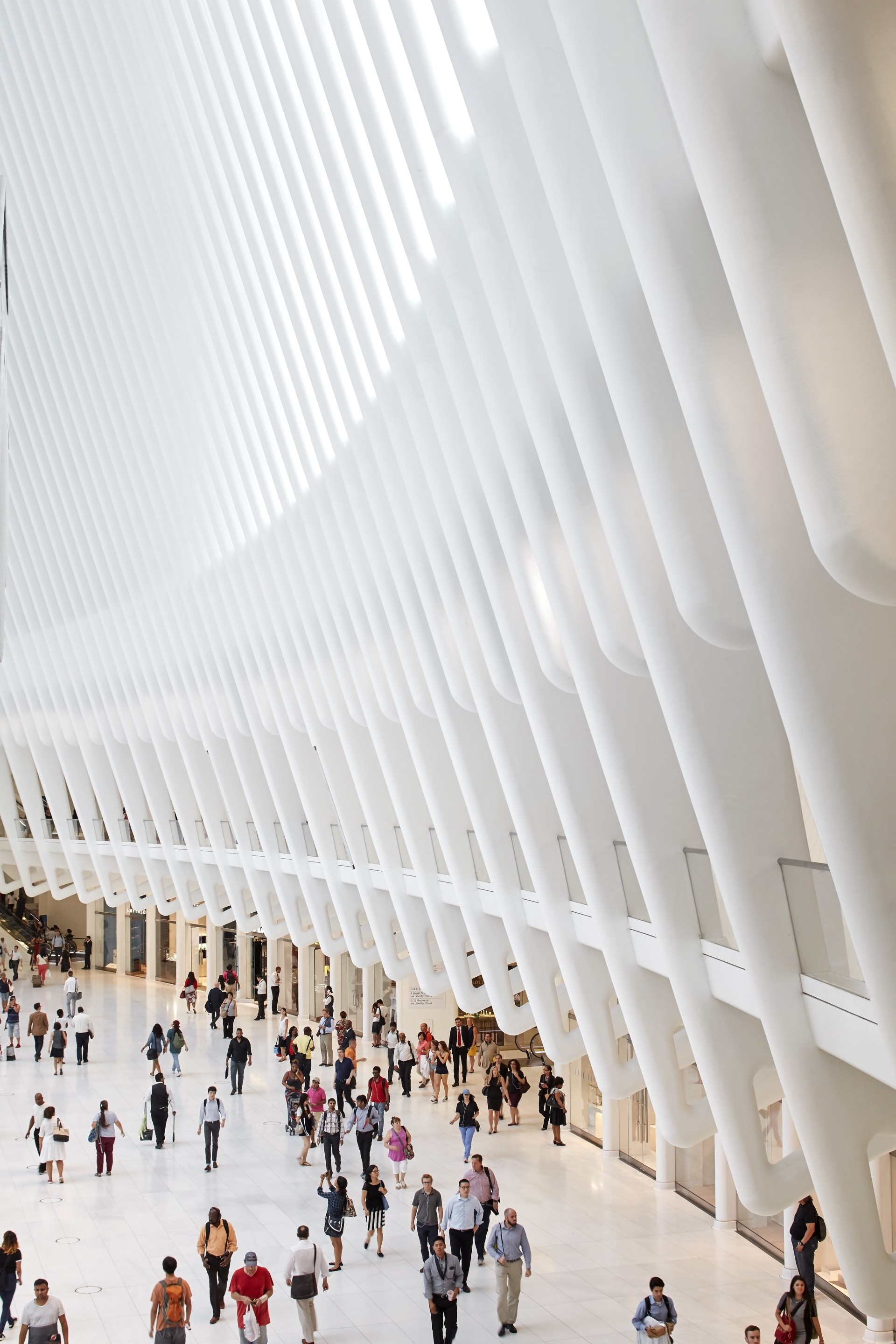 Gallery of Gallery: Calatrava's WTC Transportation Hub Photographed by ...