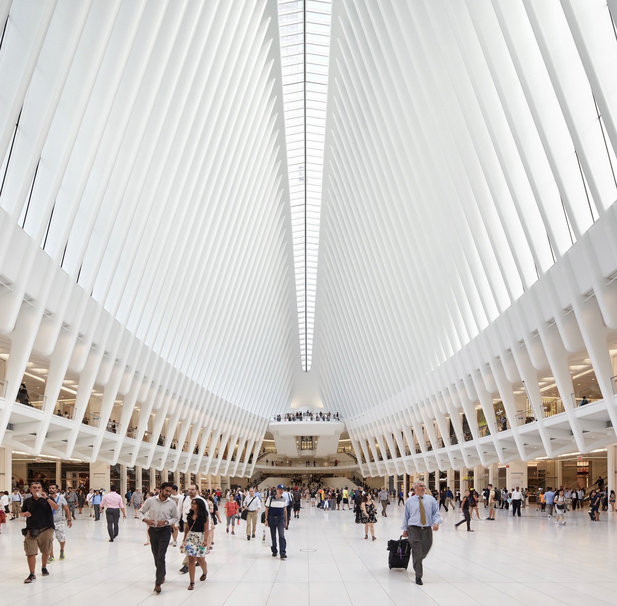Gallery of Gallery: Calatrava's WTC Transportation Hub Photographed by ...