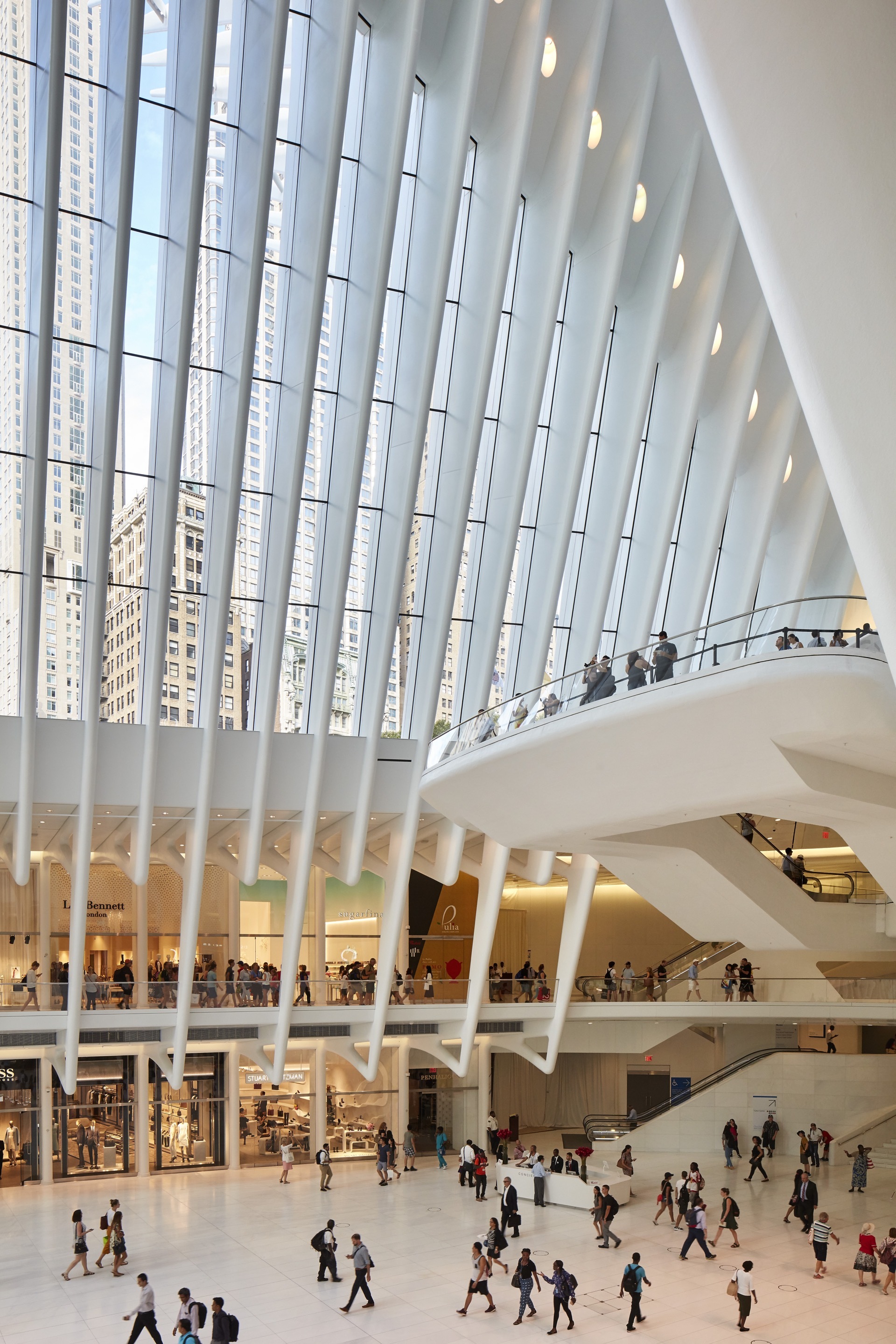 Gallery of Gallery: Calatrava's WTC Transportation Hub Photographed by ...