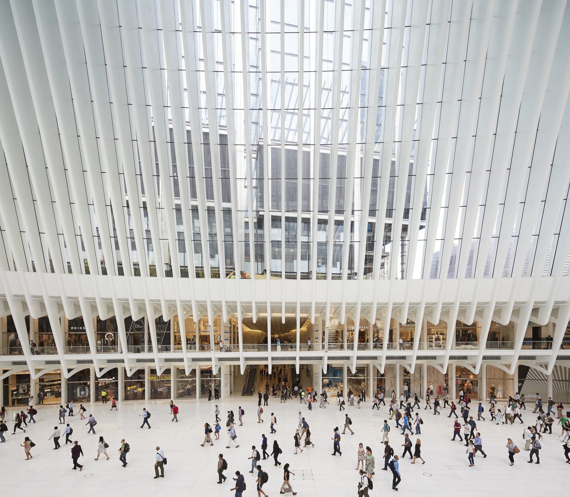 Gallery of Gallery: Calatrava's WTC Transportation Hub Photographed by ...
