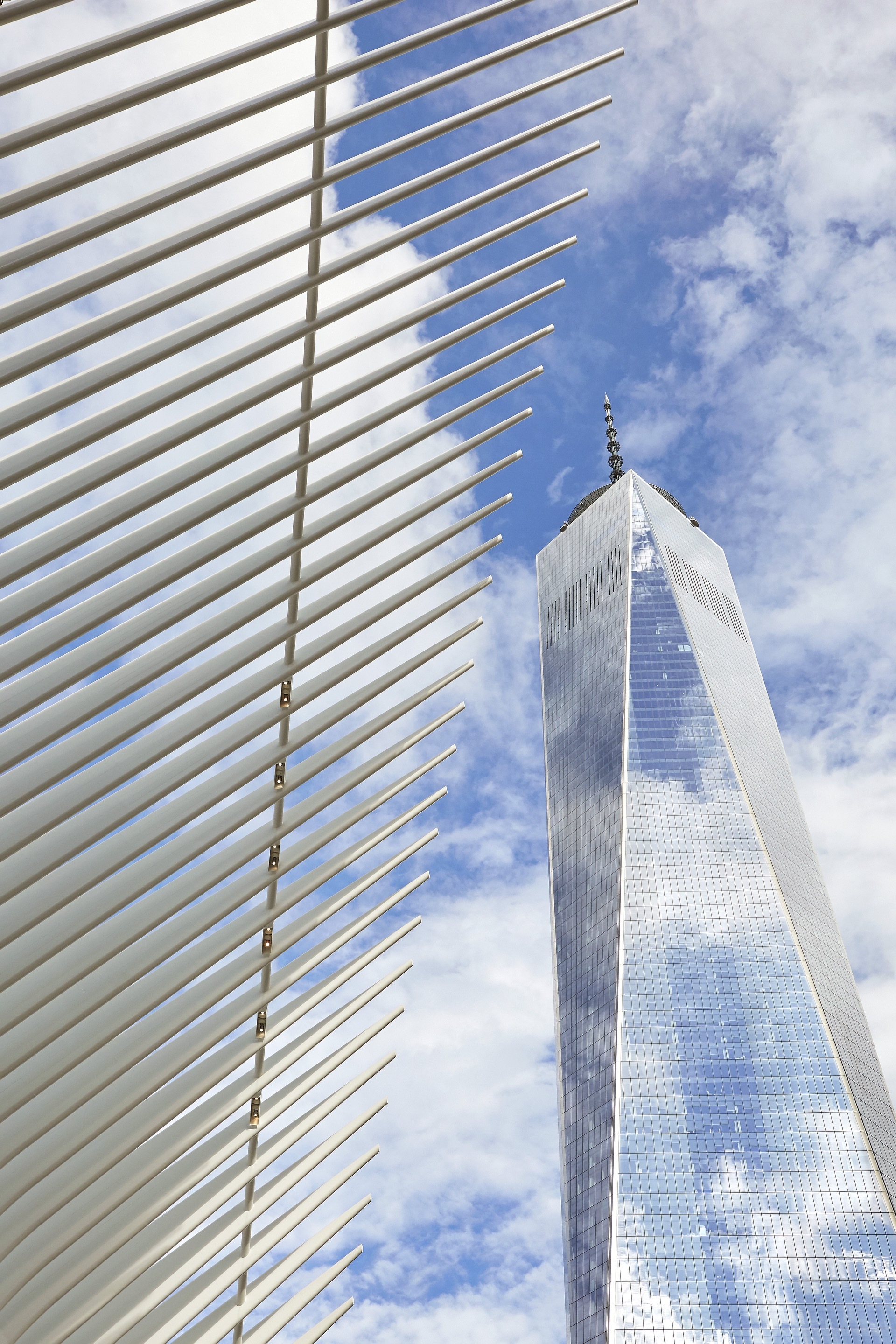 Gallery of Gallery: Calatrava's WTC Transportation Hub Photographed by ...