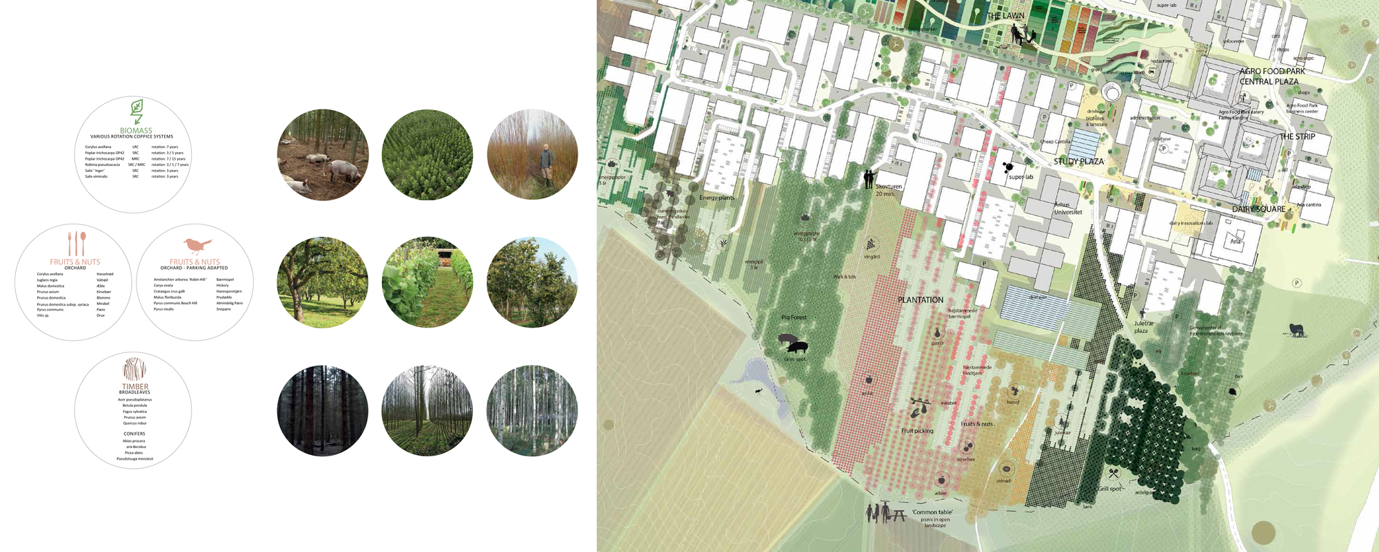 Gallery of Agro Food Park Expansion in Denmark to Combine Urbanity and ...