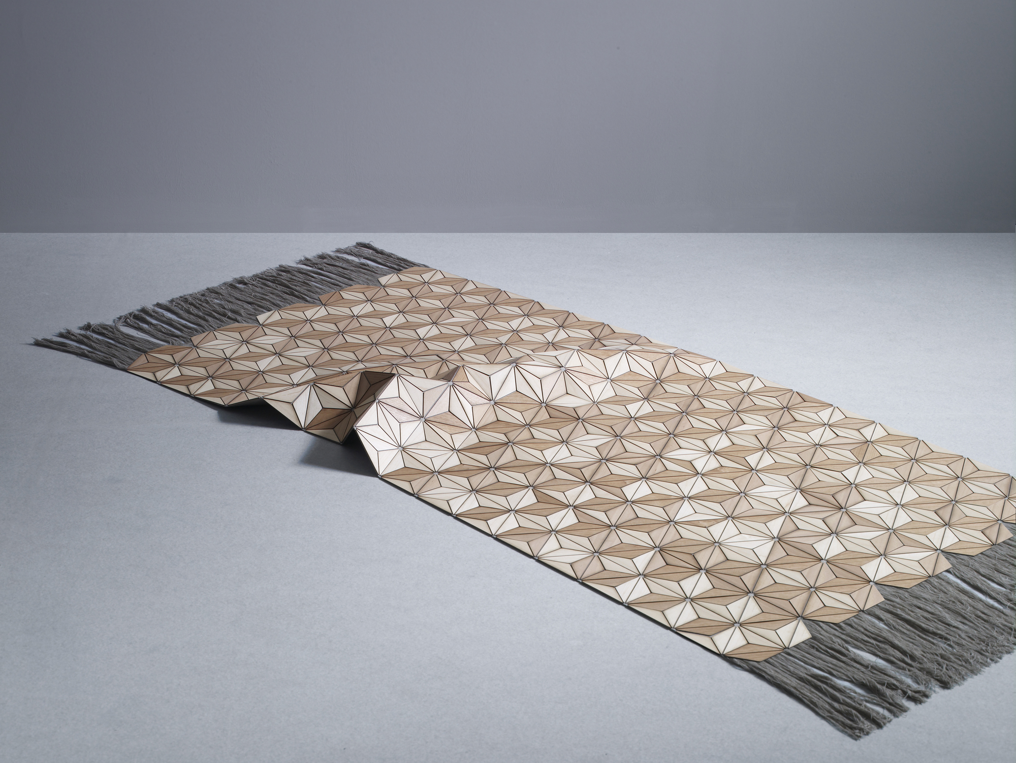 Gallery of Elisa Strozyk Turns Wood Into Fabric - 26