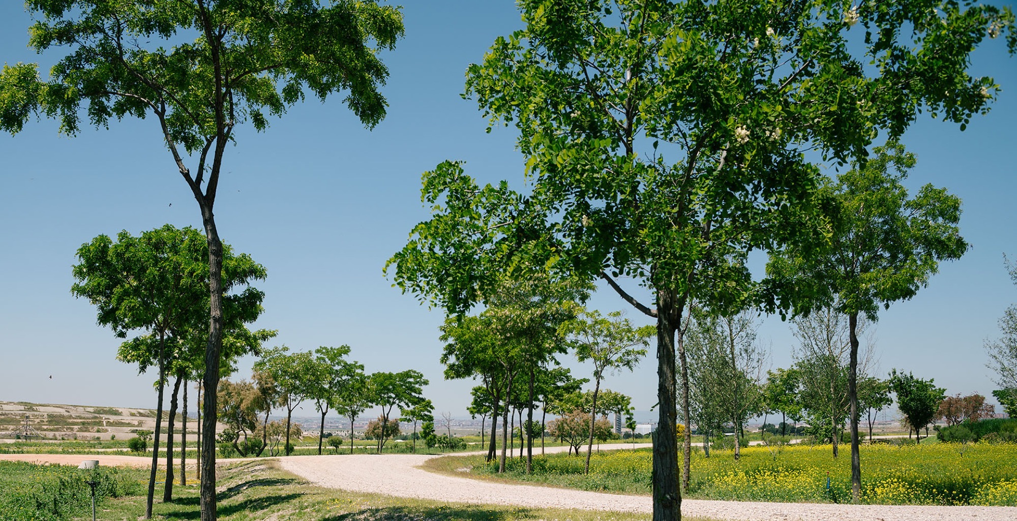 Gallery of Valdemingomez Forest Park / Israel Alba Estudio - 12