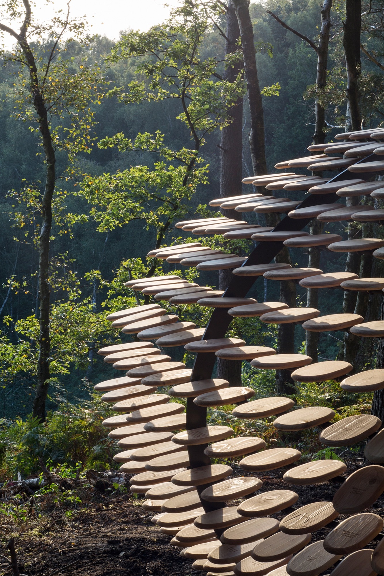 Galería de Perspectivas / Giles Miller Studio - 12