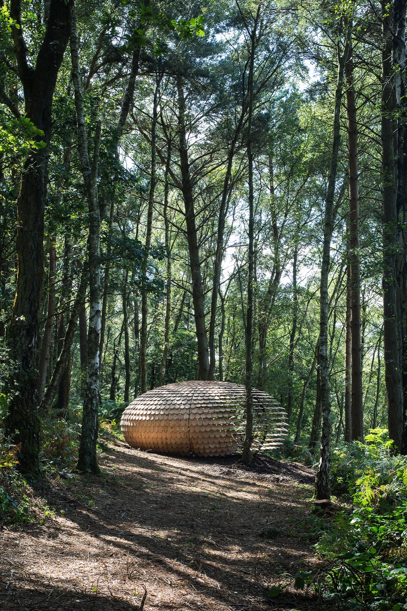 Gallery of Perspectives / Giles Miller Studio - 8