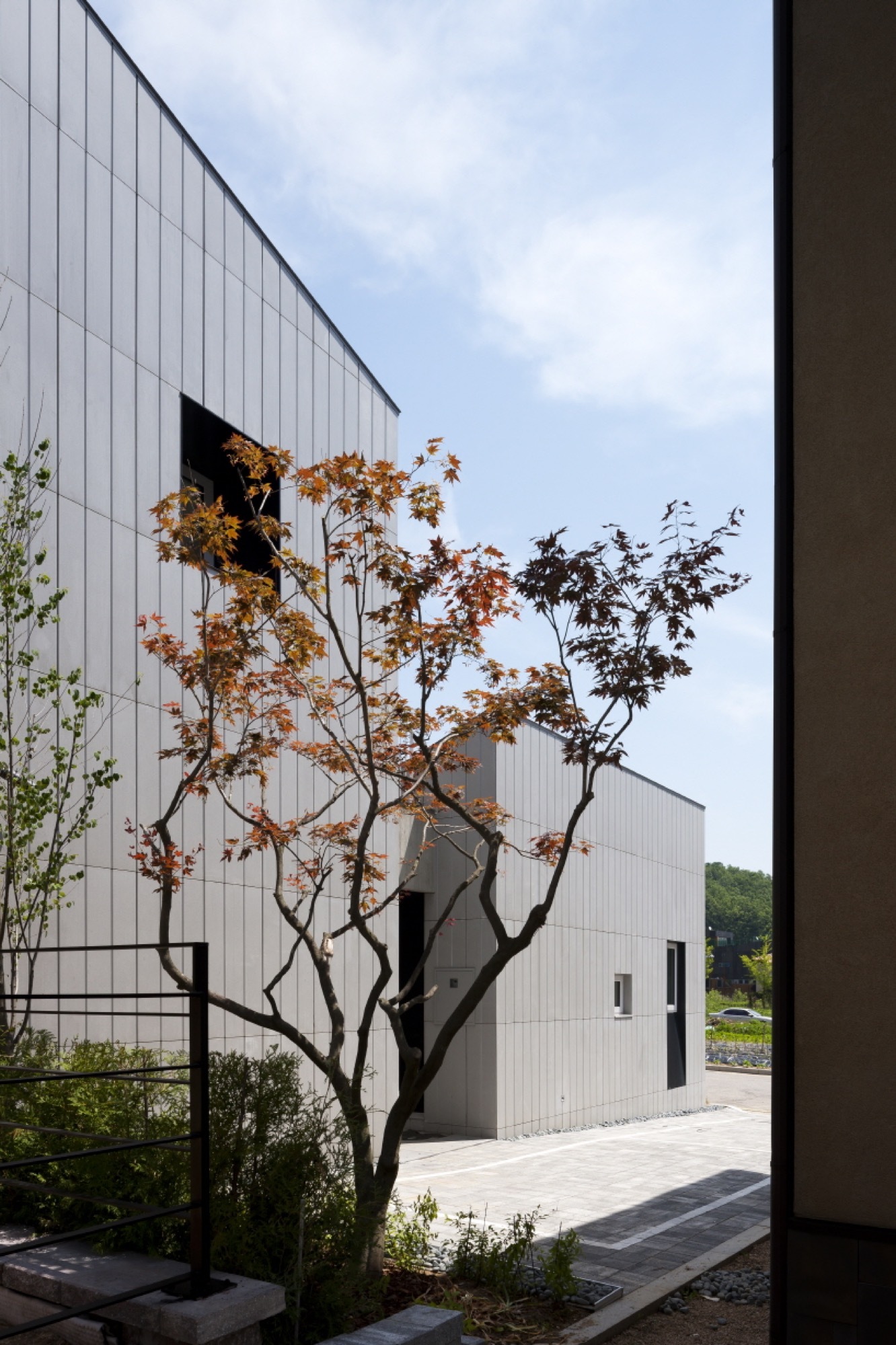 Gallery of Coconut House / D.LIM architects - 2