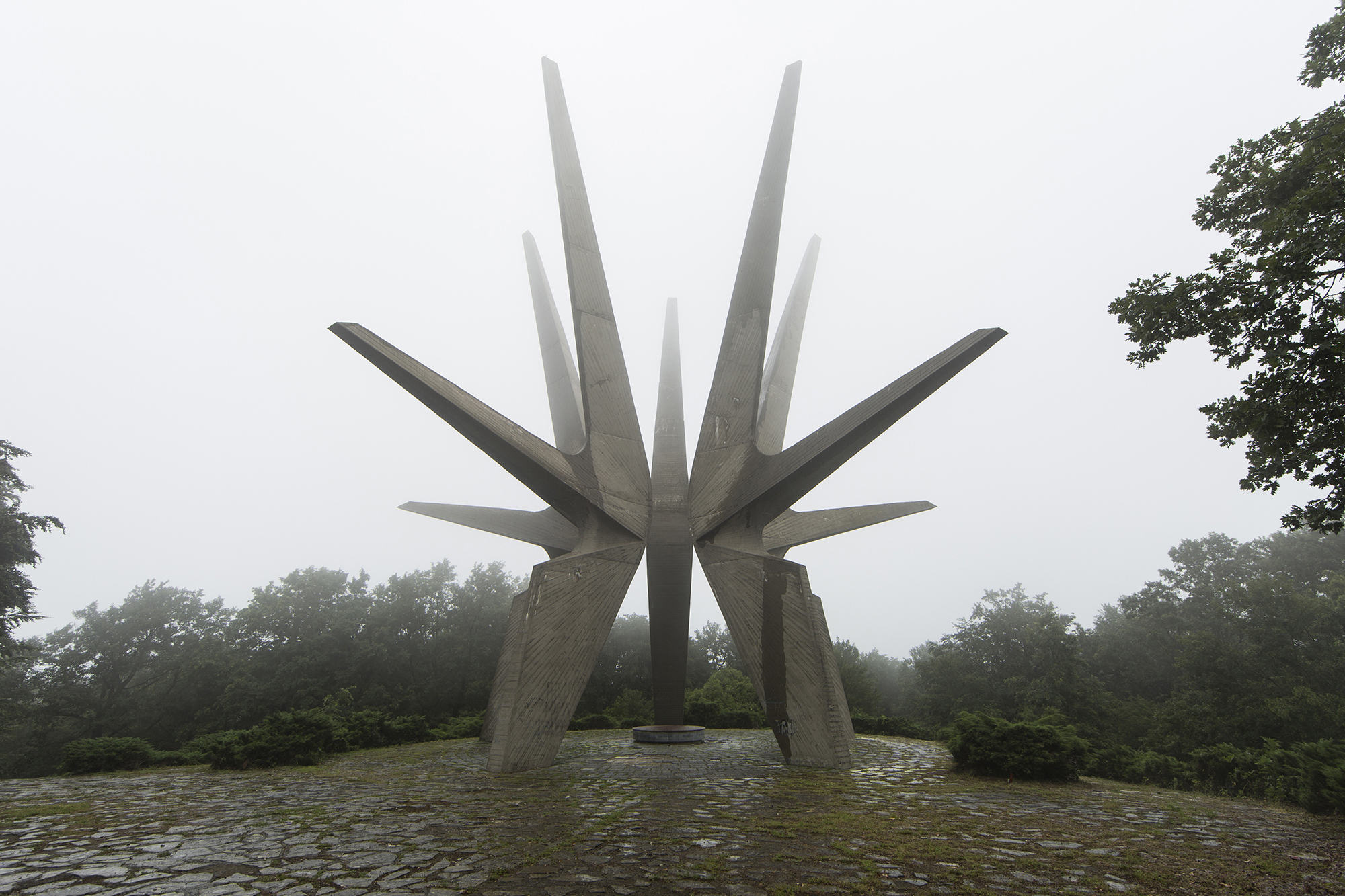 Galería de Jonk's Photographs Depict the Abandonment and Beauty of ...