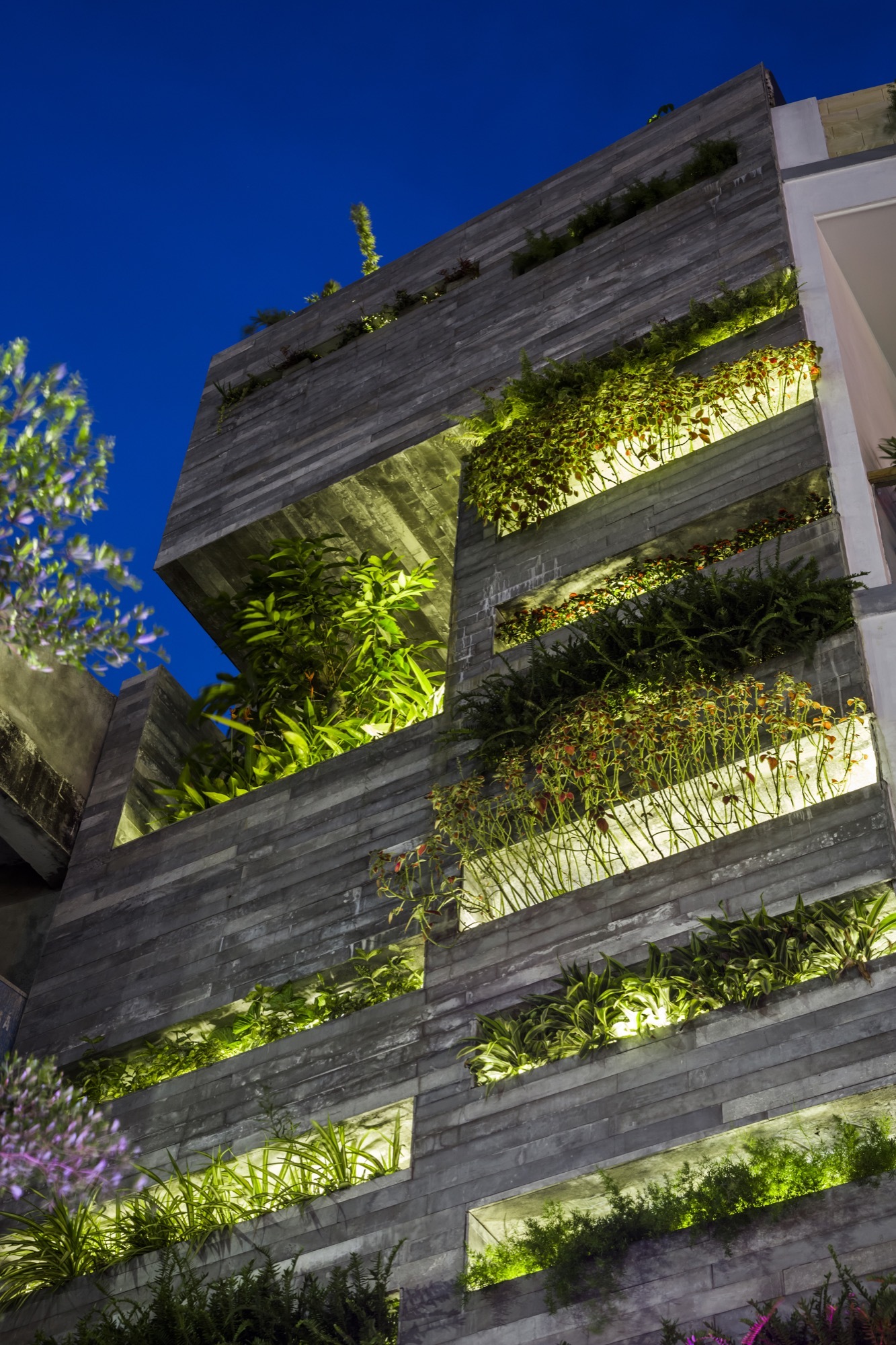 Gallery of Garden House / Ho Khue Architects - 26