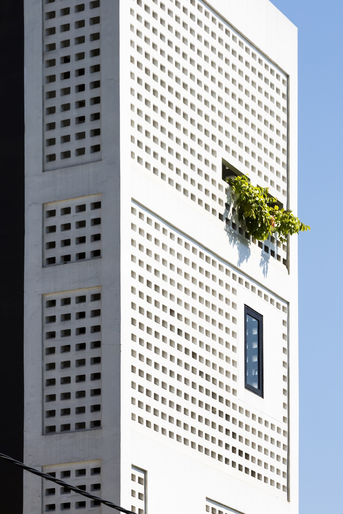 Gallery of Garden House / Ho Khue Architects - 12