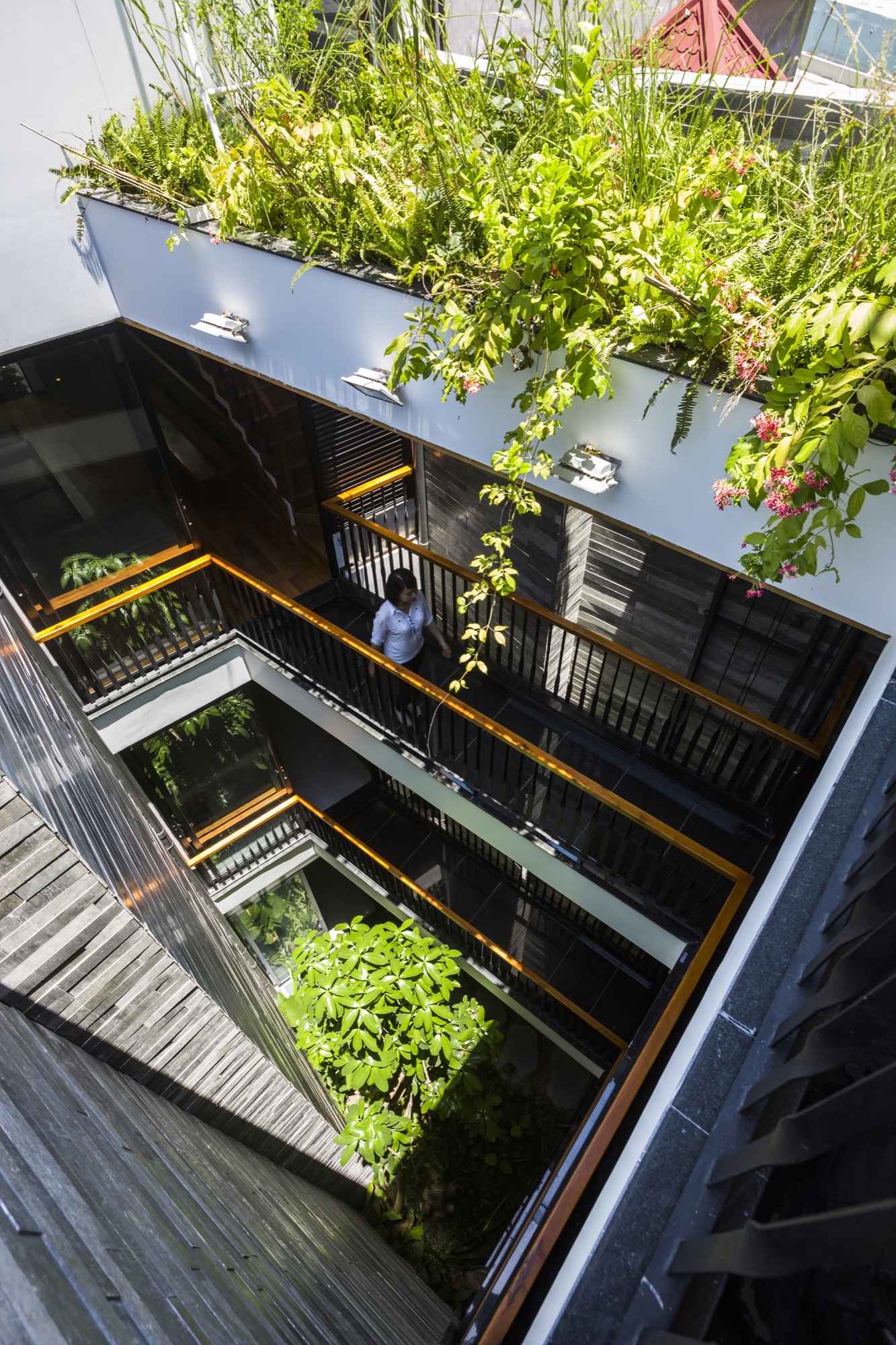 Galería de Casa Jardín / Ho Khue Architects - 8