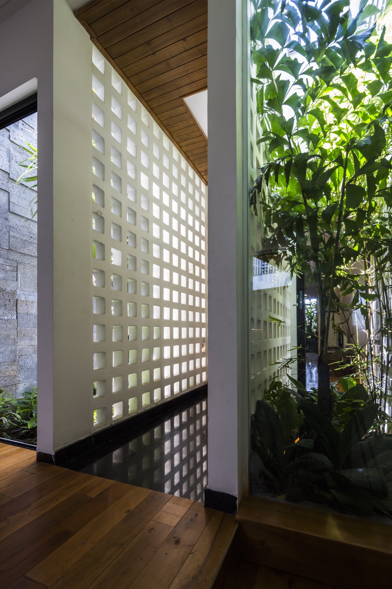 Gallery of Garden House / Ho Khue Architects - 2